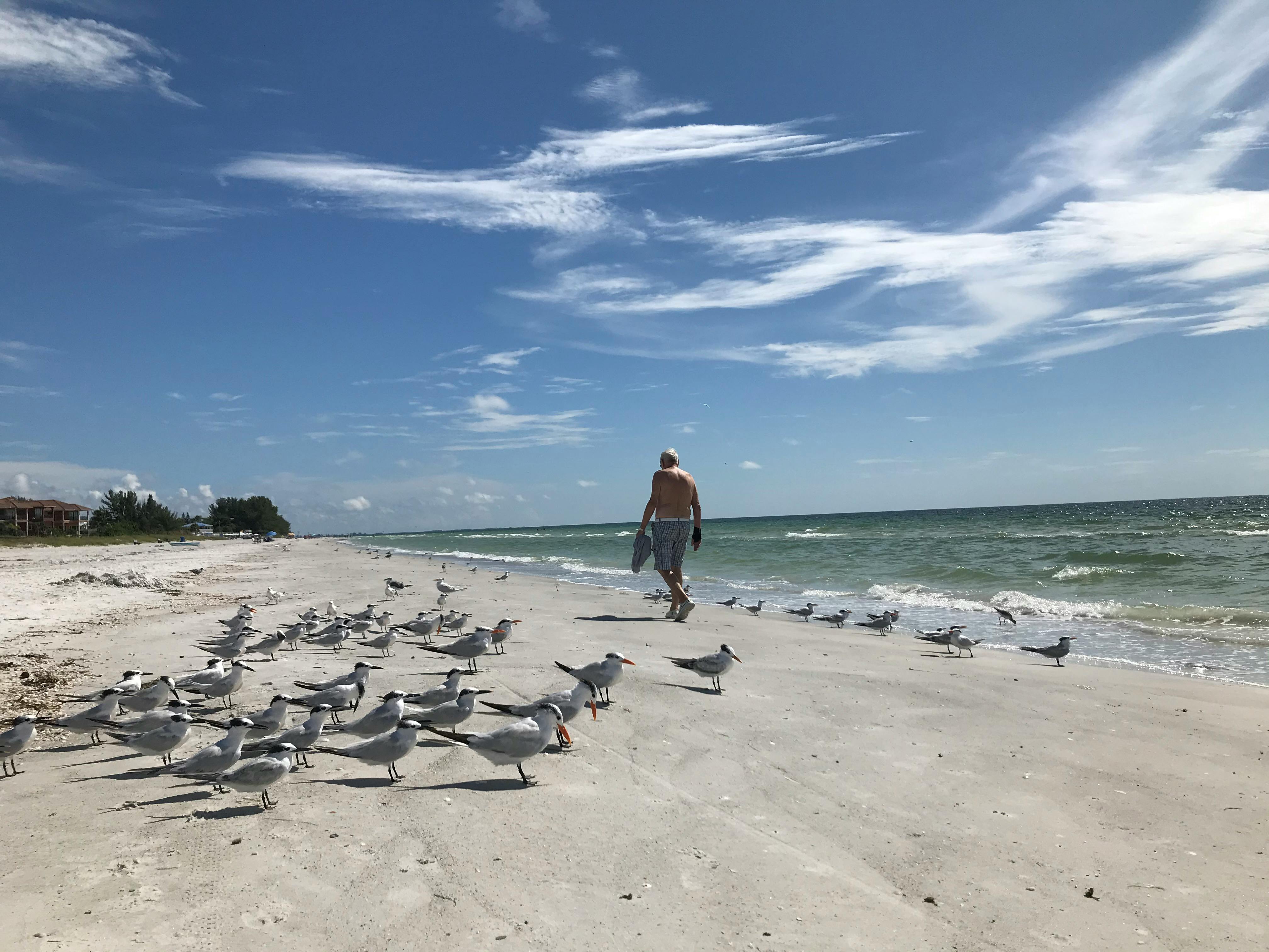 Beach life 3 Photos & Videos Collected by An Flamand