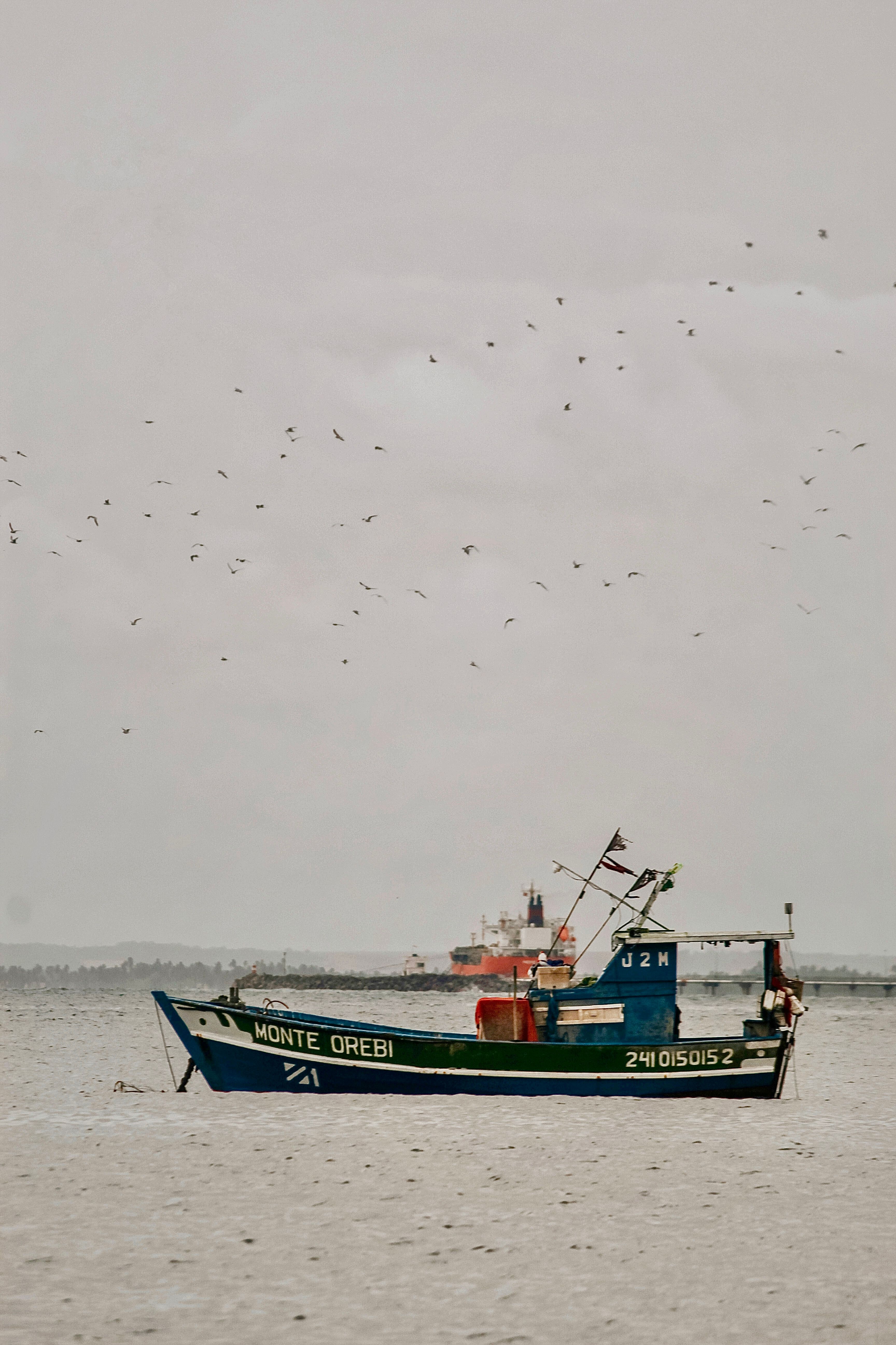 Birds Flying over Fishing Boat · Free Stock Photo