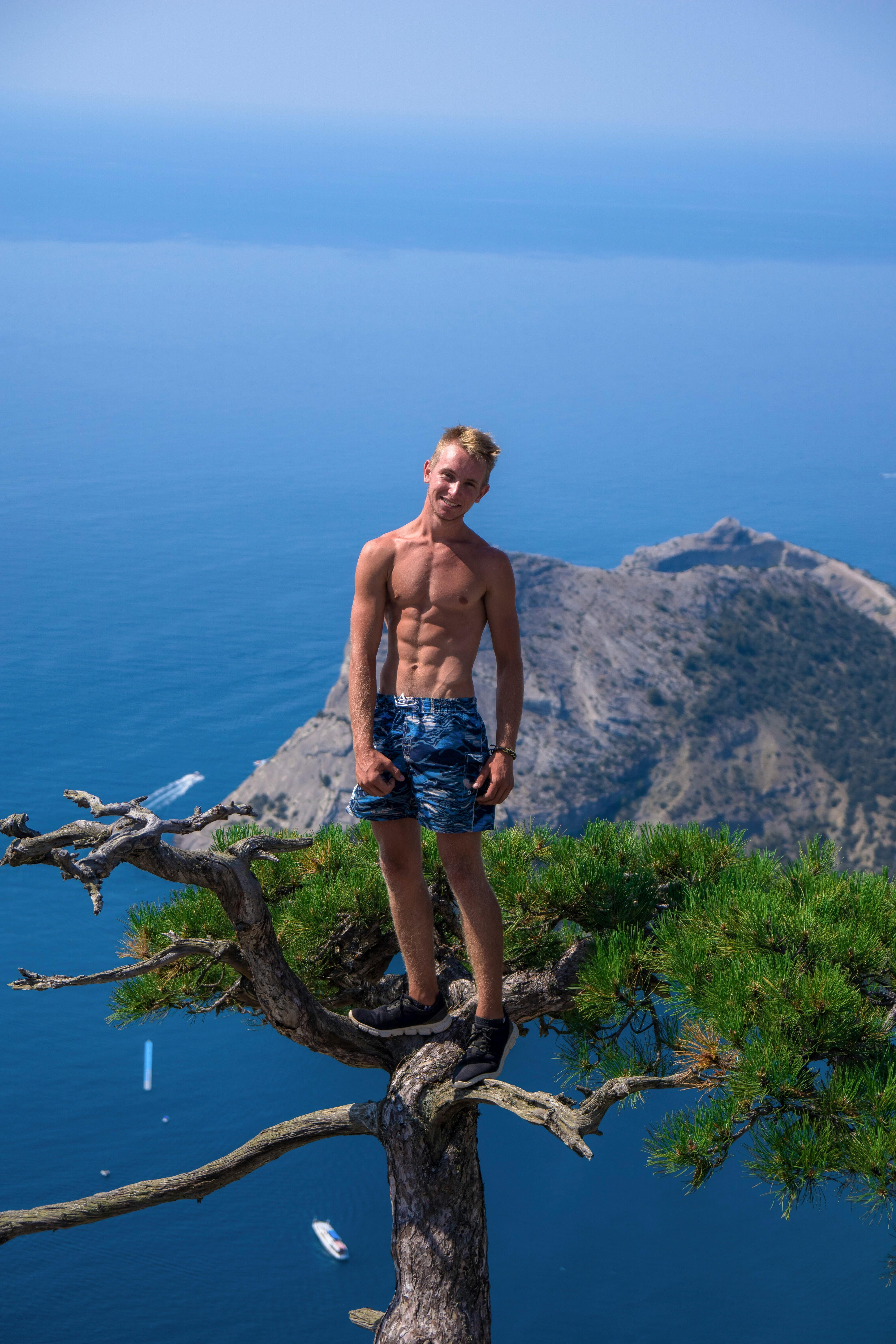Man Standing on Top of a Tree · Free Stock Photo