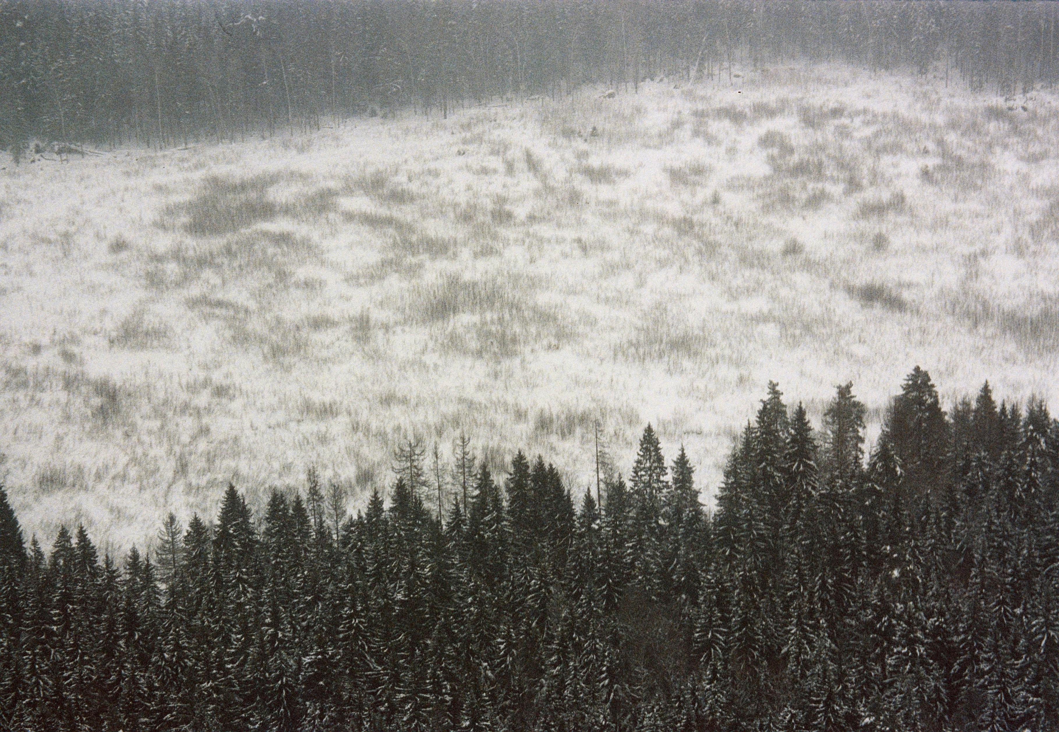 Aerial View of a Snowy Field and Forest · Free Stock Photo