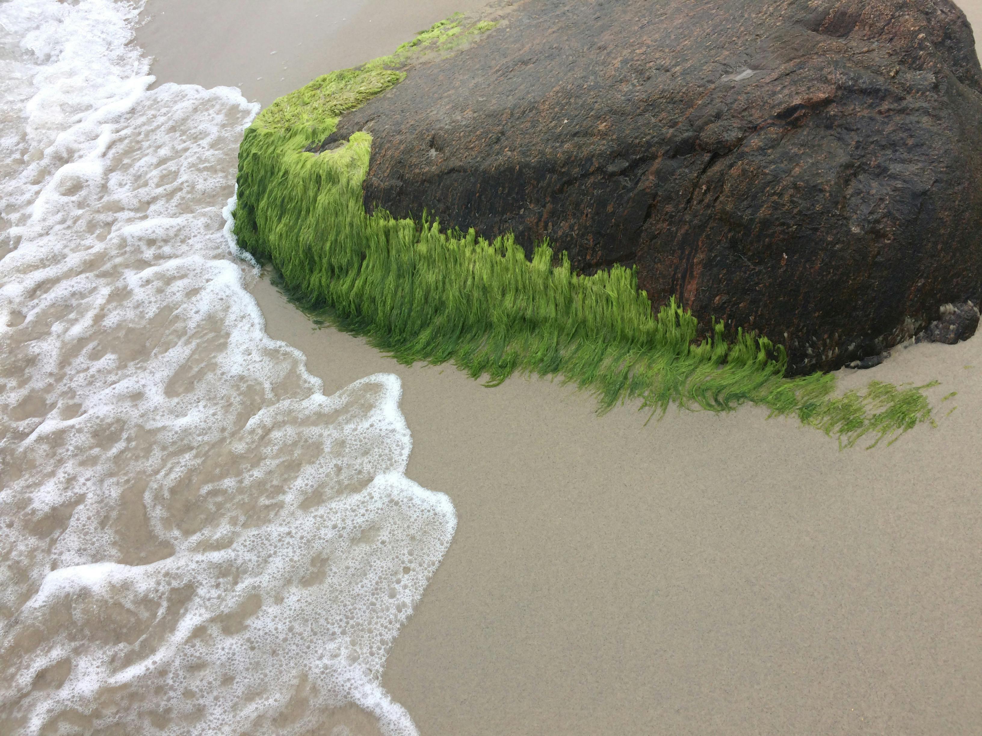 Olga Minkina 님의 Baltic Sea 컬렉션 사진 및 동영상 23개