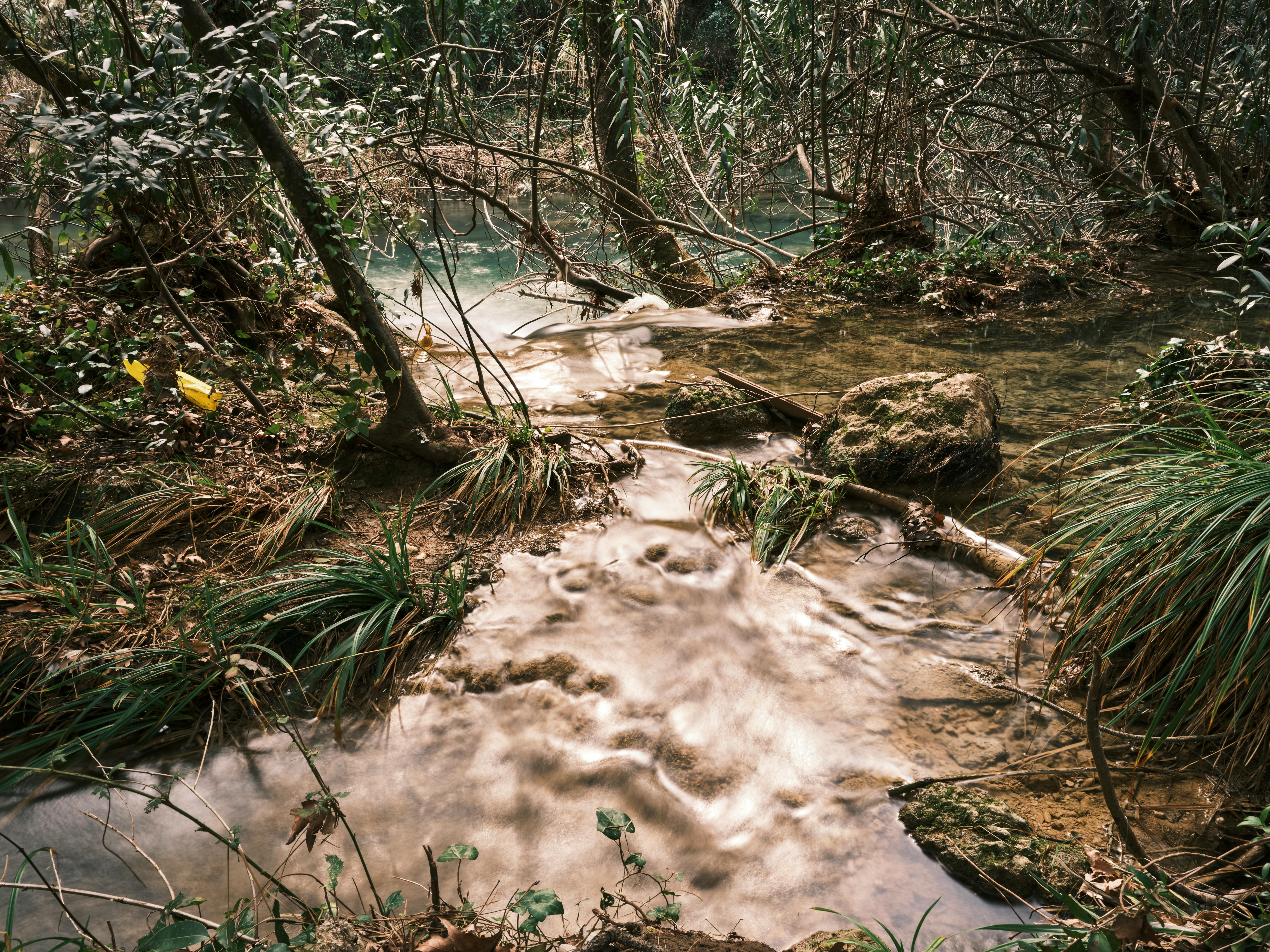 Flowing Water in the Nature · Free Stock Photo