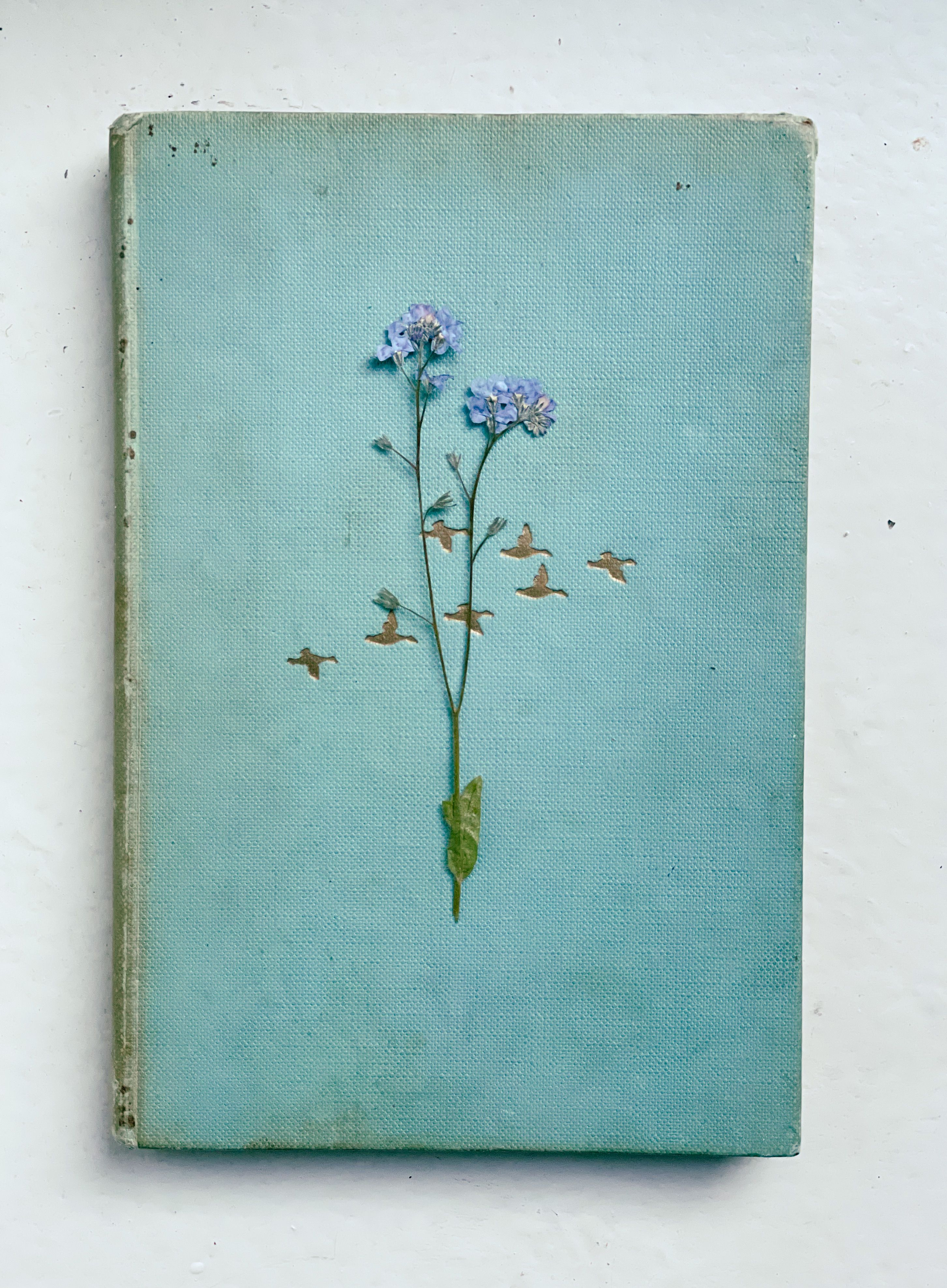 Flowers on Top of a Blue Book · Free Stock Photo
