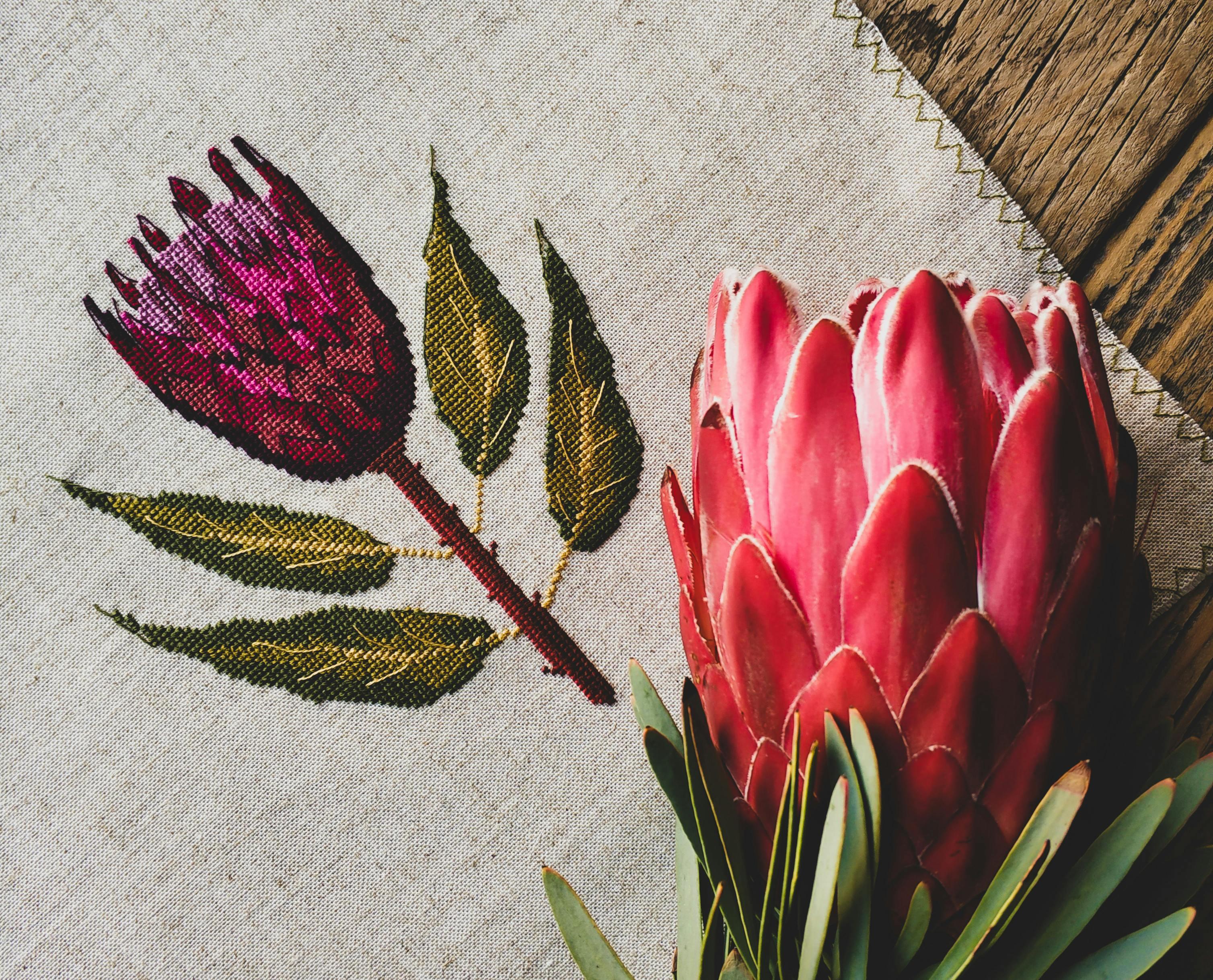 Protea Flower and an Embroidery · Free Stock Photo