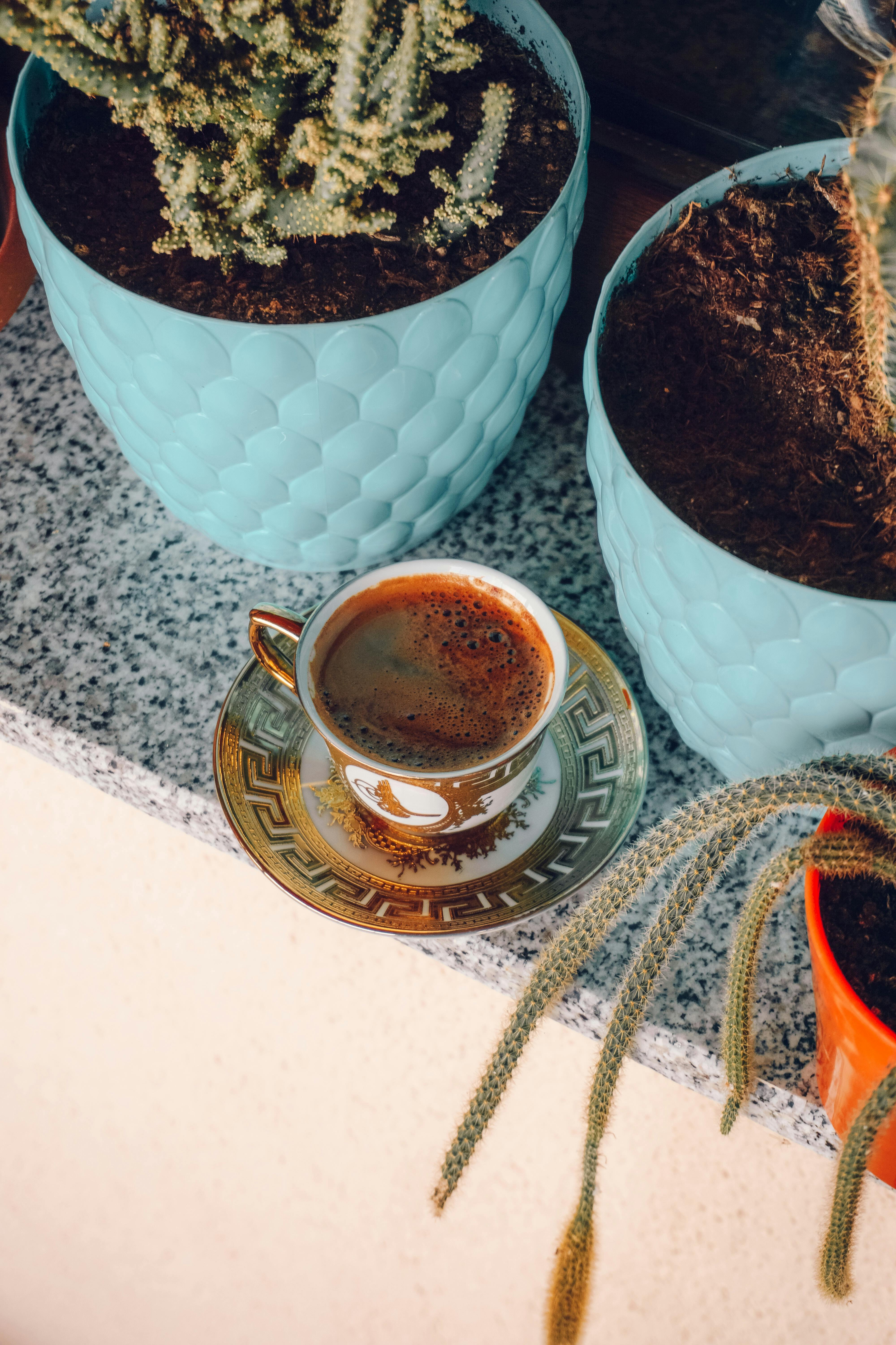 Caffe And Calm Photos, Download The BEST Free Caffe And Calm Stock ...