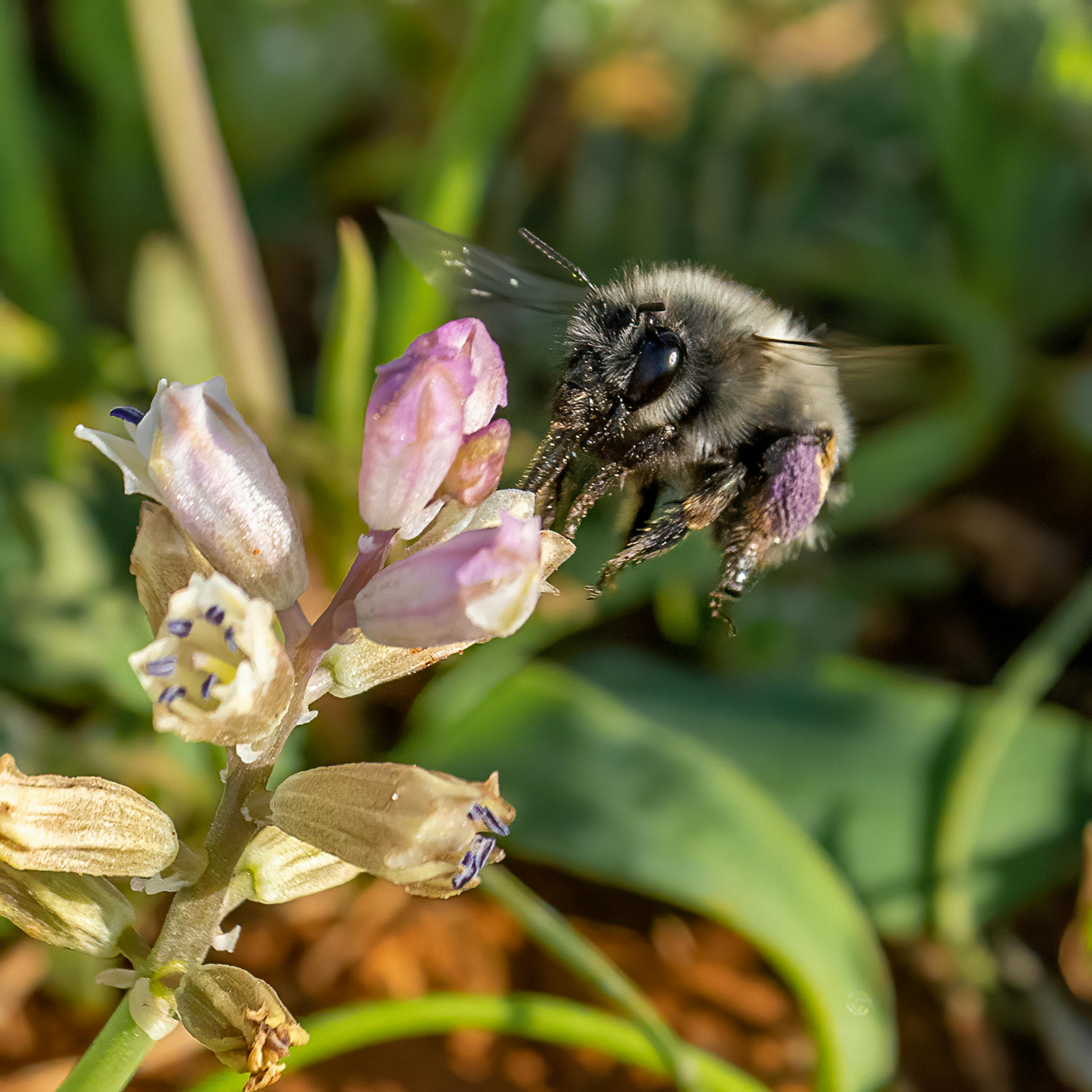 最精彩的“Shrilled”图片 · 100%免费下载 · Pexels素材图片
