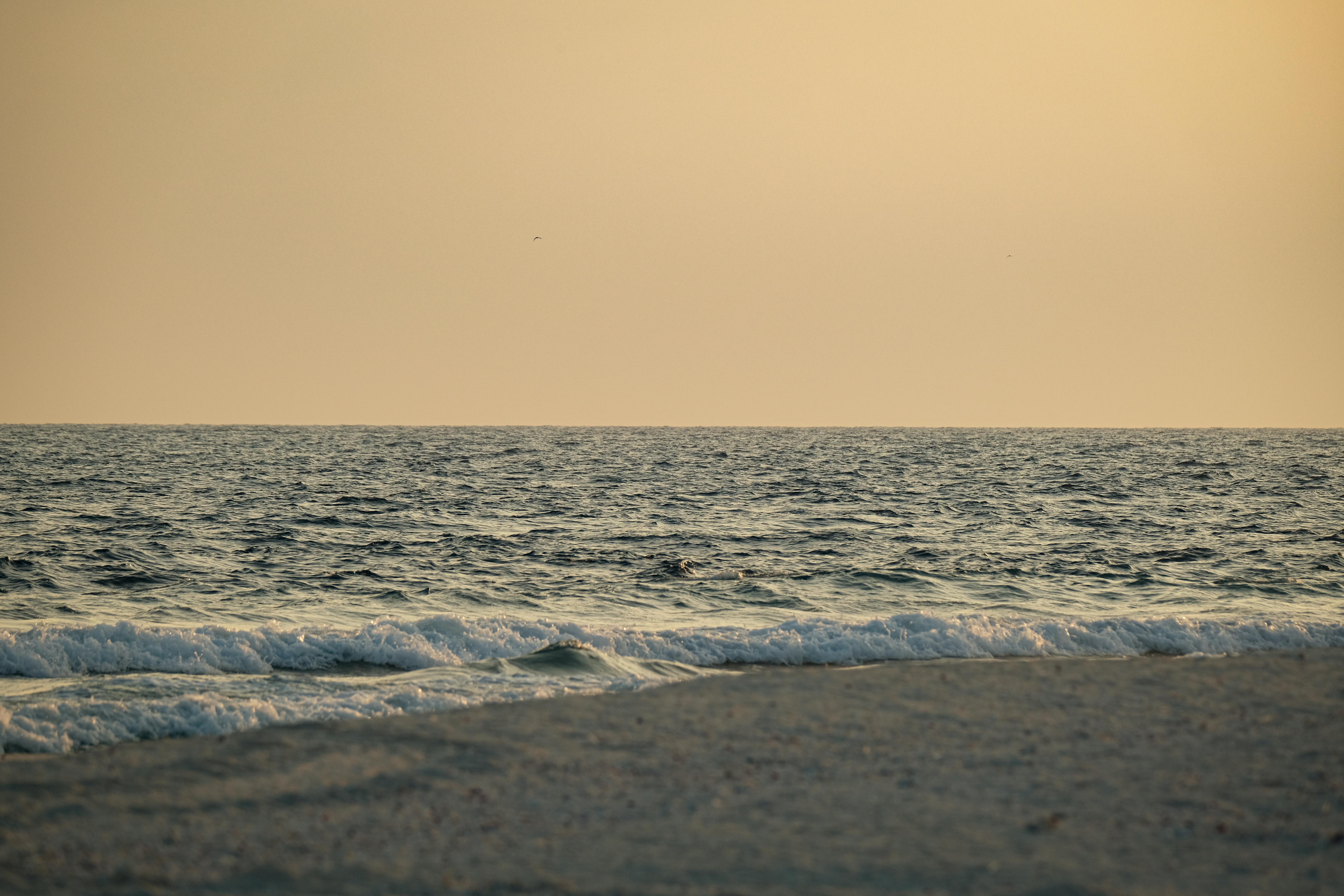 Waving Morning Sea · Free Stock Photo