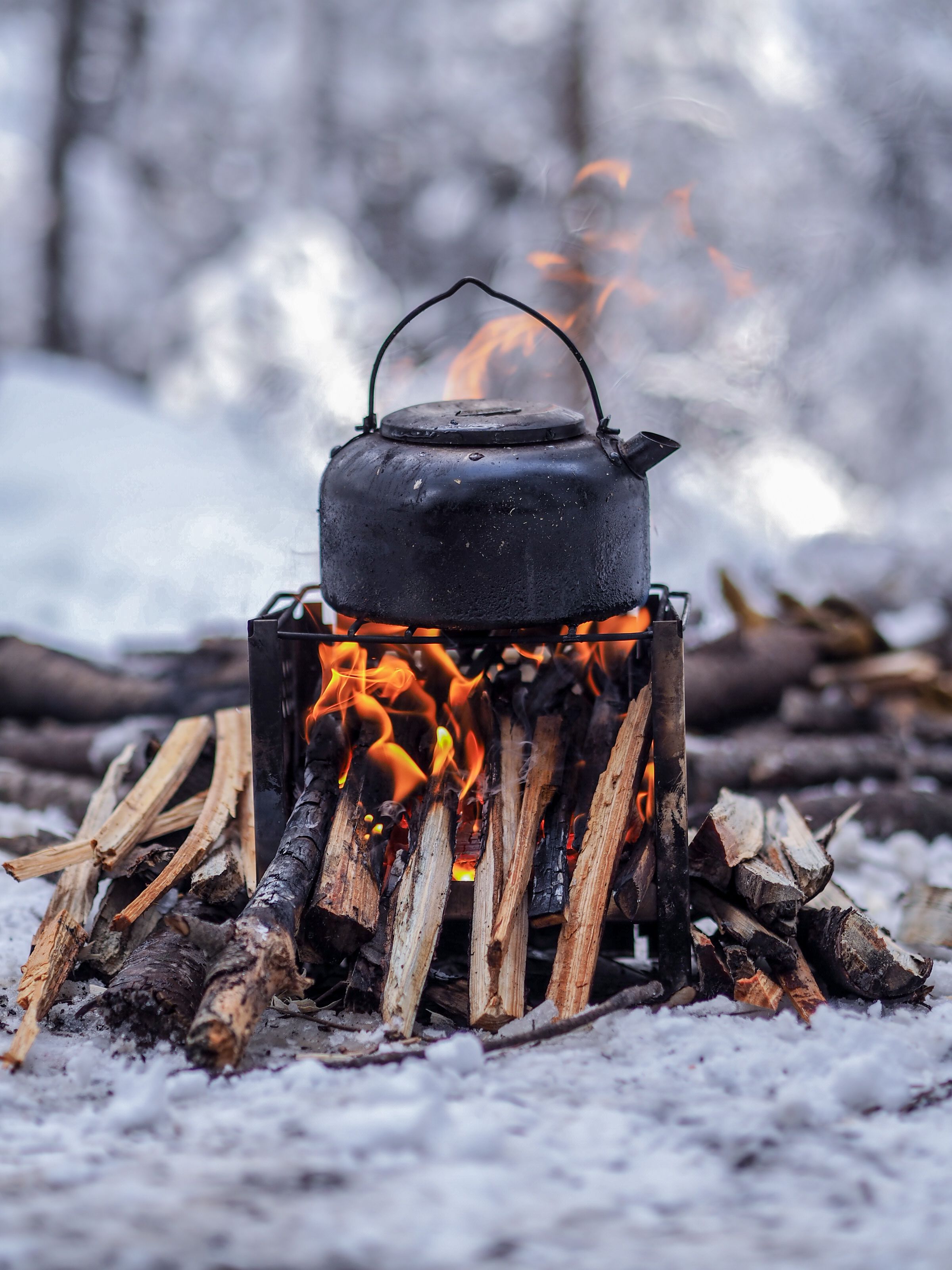 People Sitting by the Campfire · Free Stock Photo