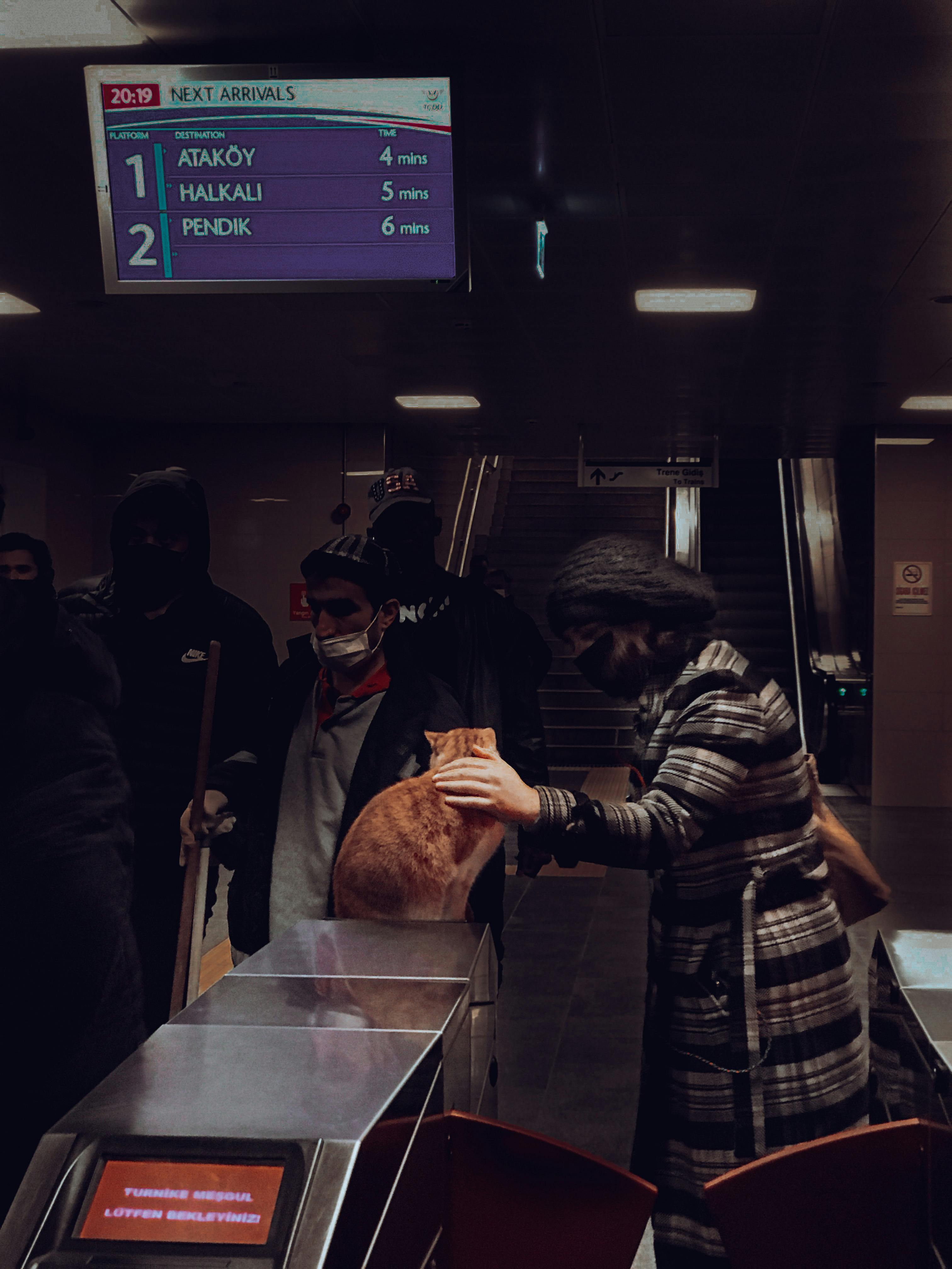 Stray People In The Ph Photos, Download The BEST Free Stray People In ...