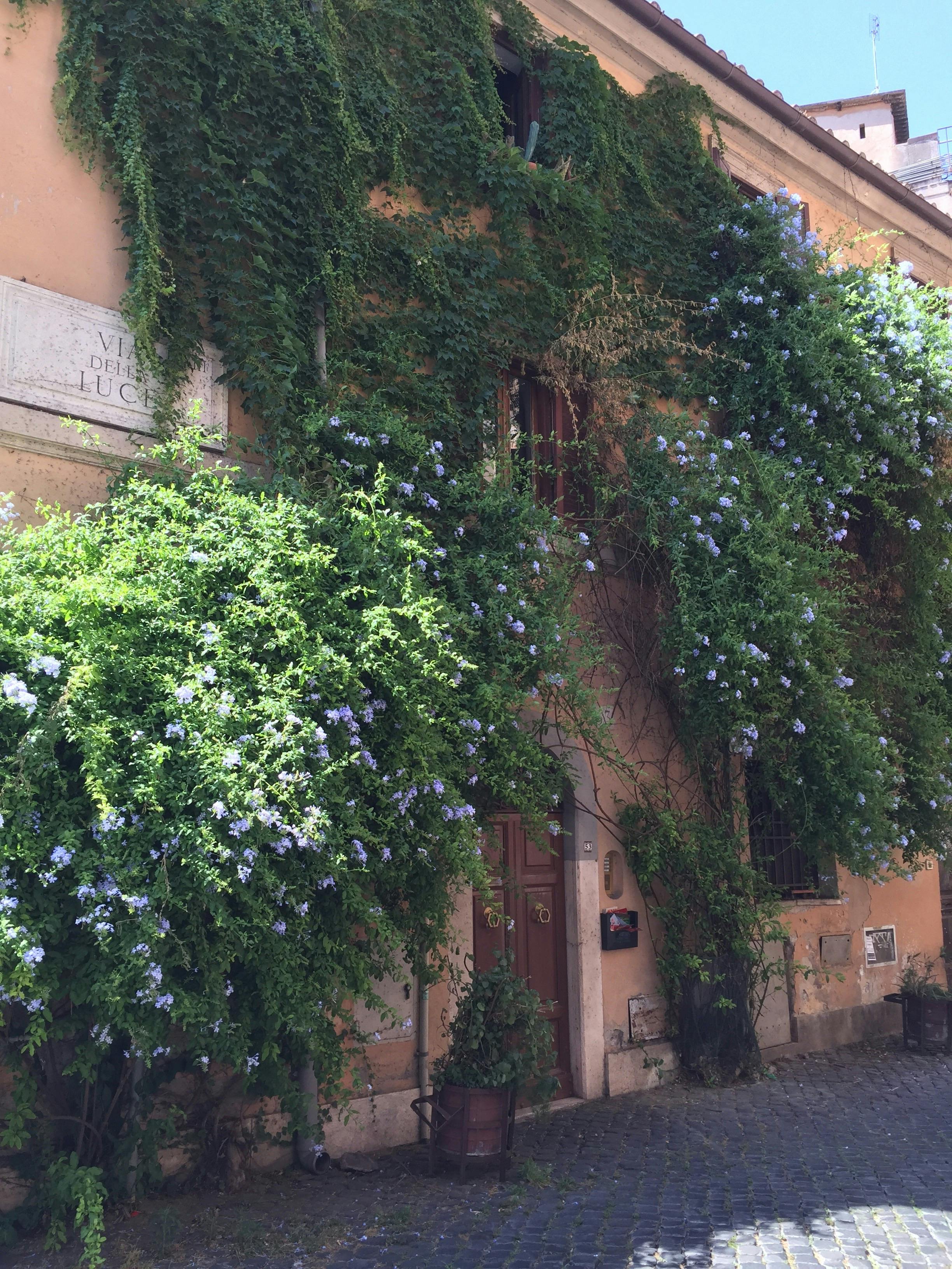 Apartment Building with Vines on the Walls · Free Stock Photo