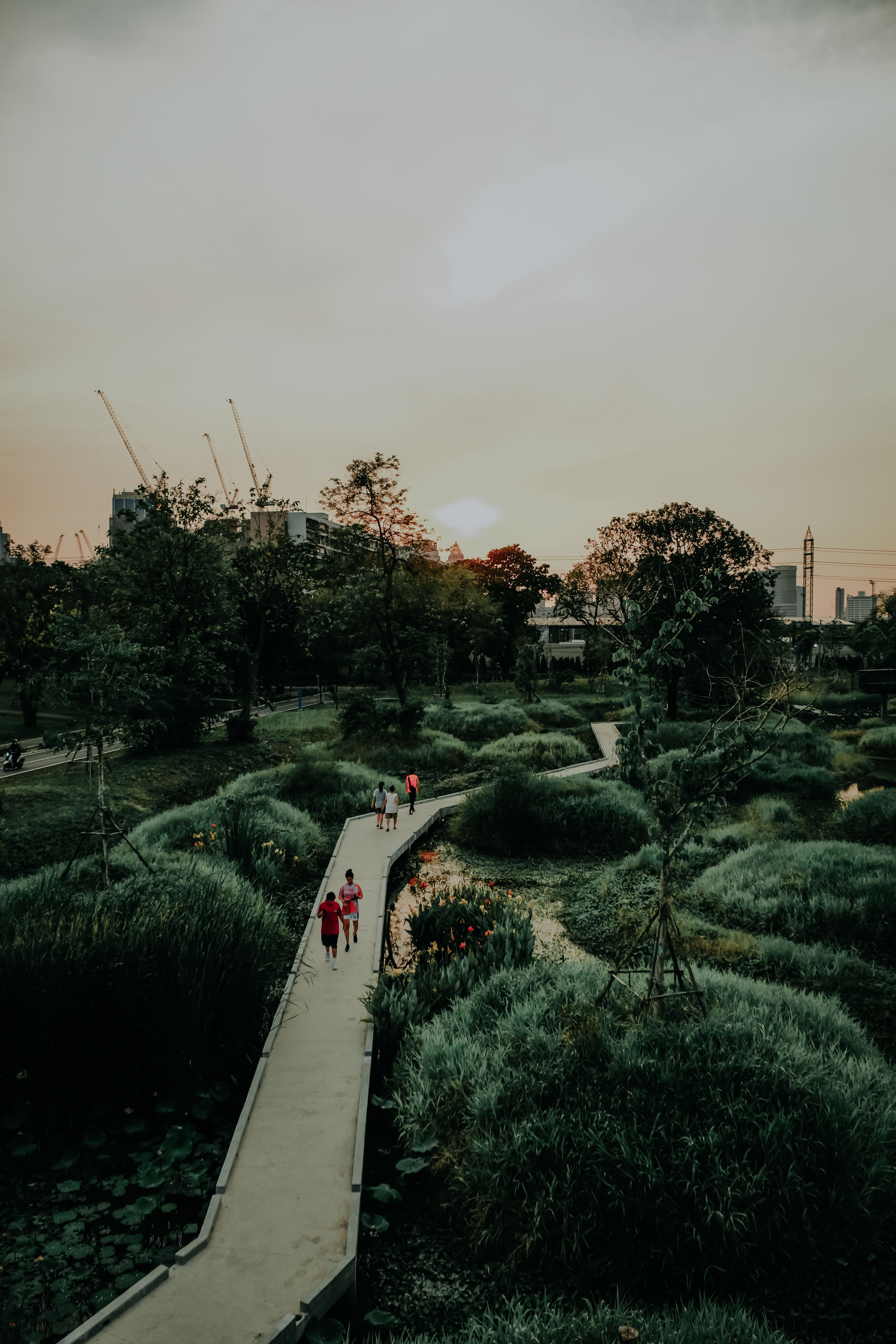 A Walkway in the Park · Free Stock Photo