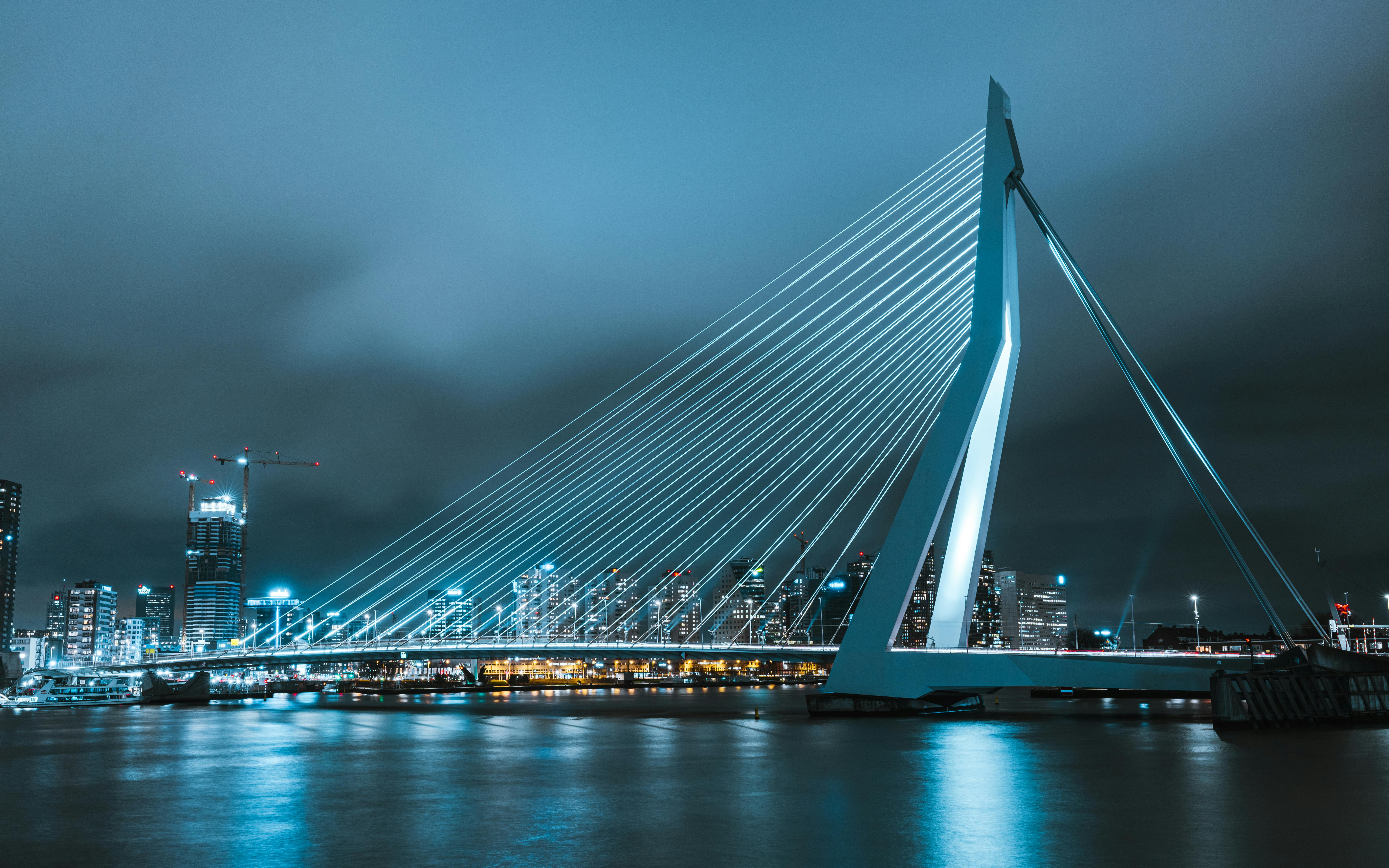 The Erasmusbrug Bridge in Netherland at Night · Free Stock Photo