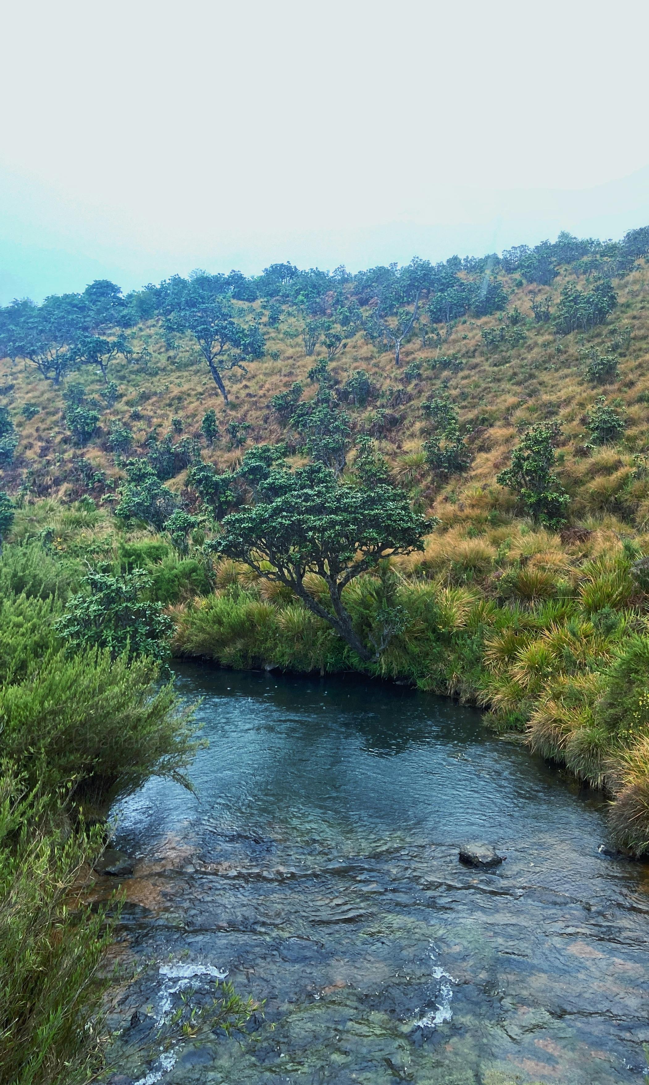 Janith Chanaka - 写真