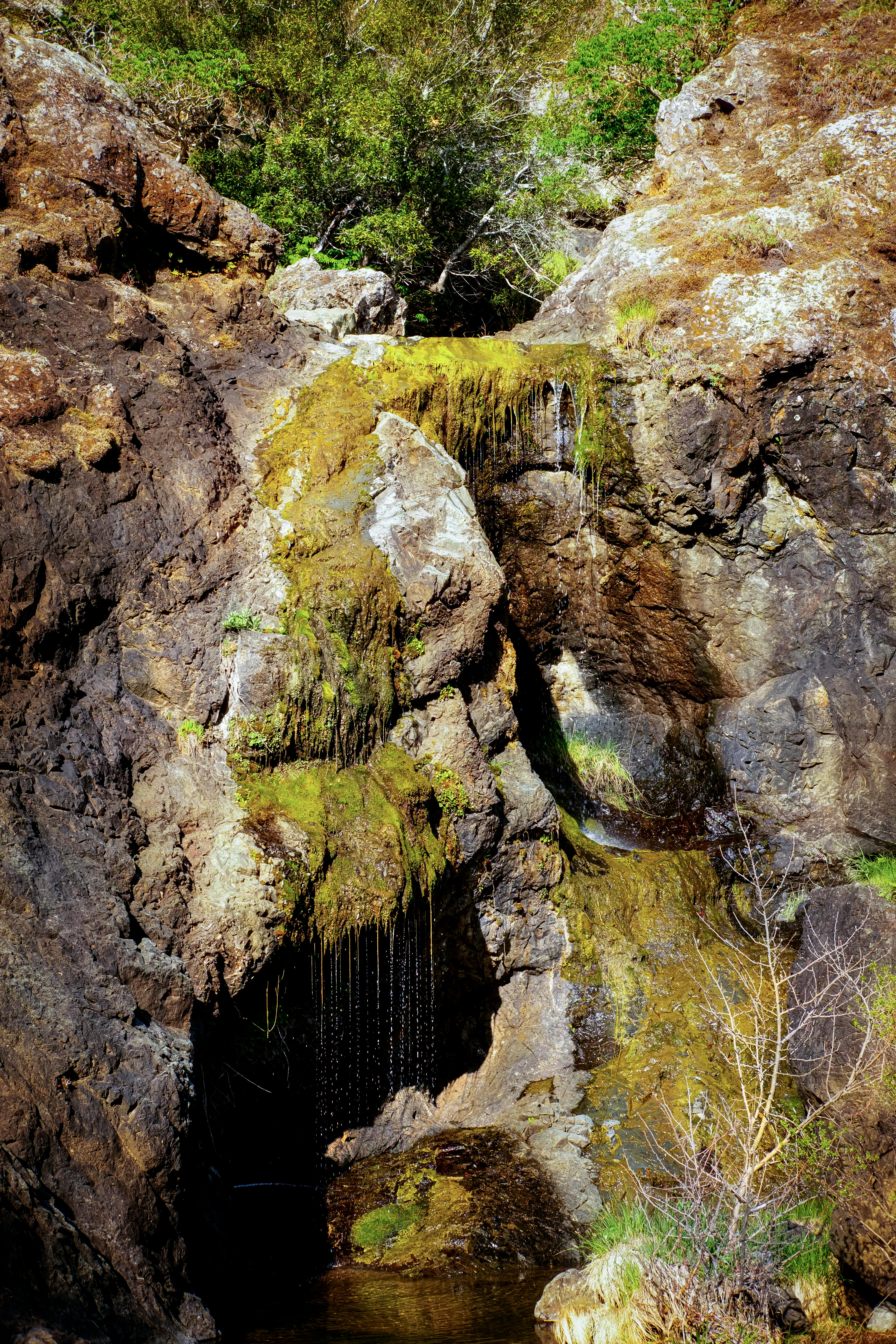 Rocks in the Forest · Free Stock Photo