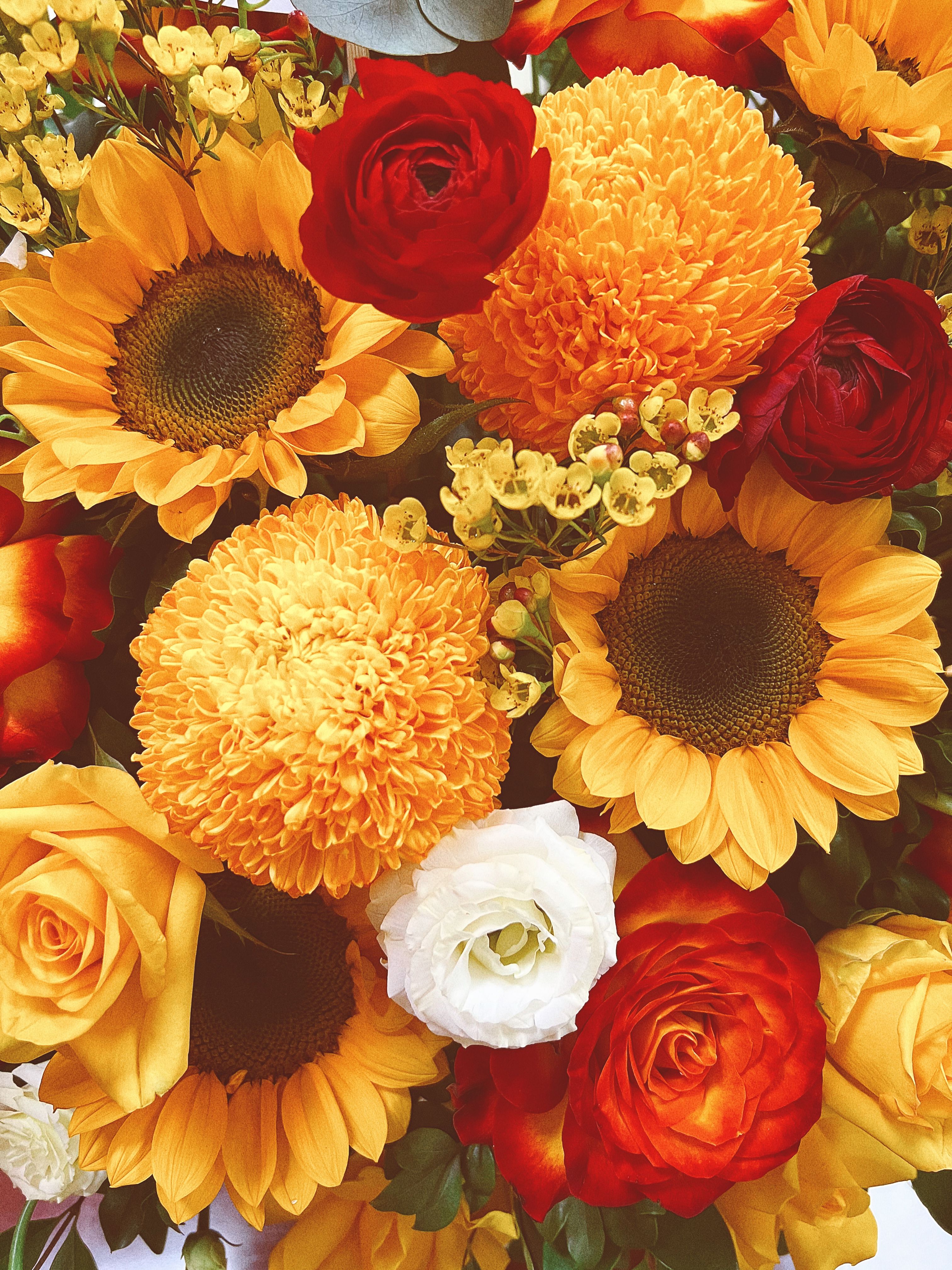 Close-Up Shot of Flowers on a Female's Body · Free Stock Photo