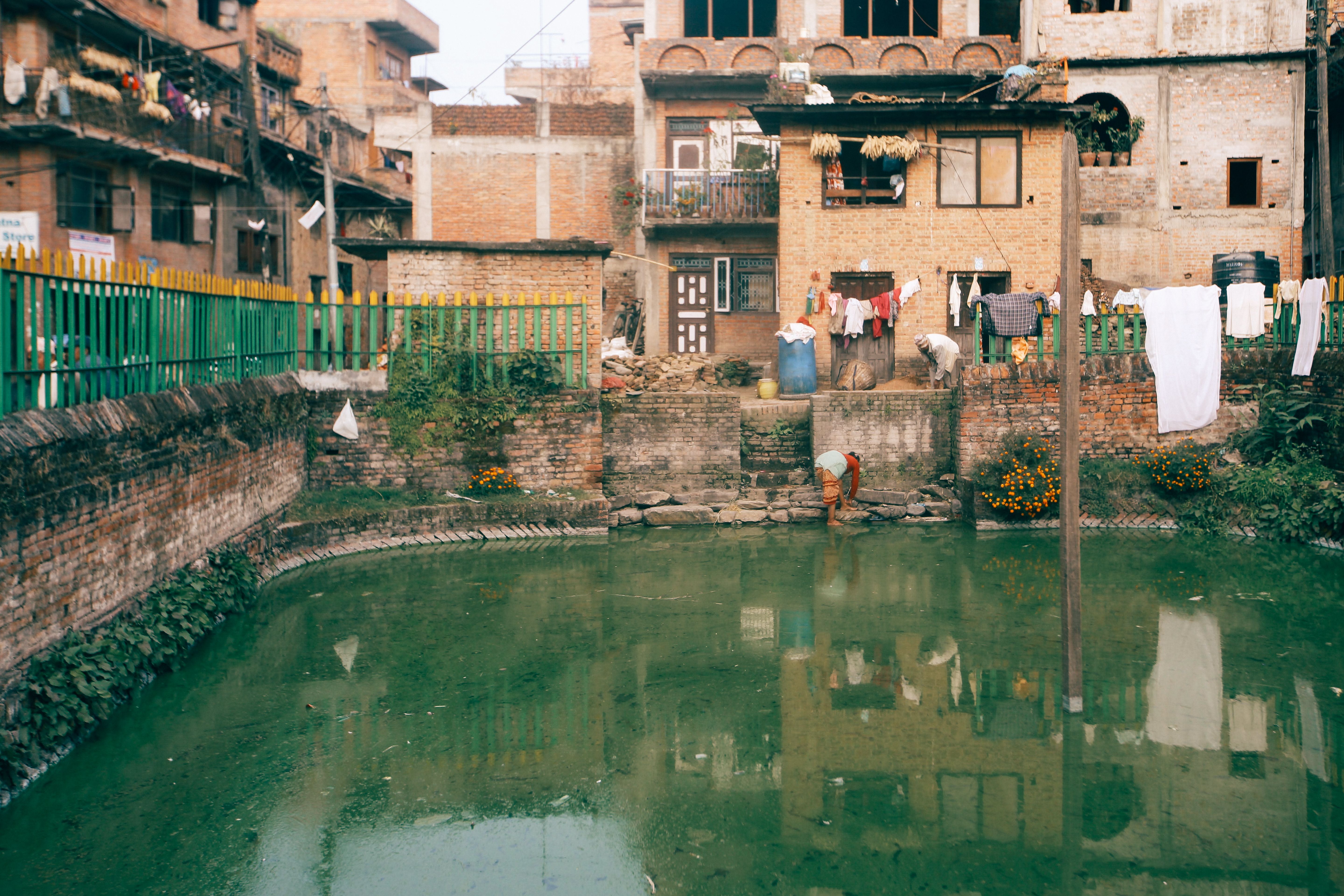Stagnant Water Disease Photos, Download The BEST Free Stagnant Water ...