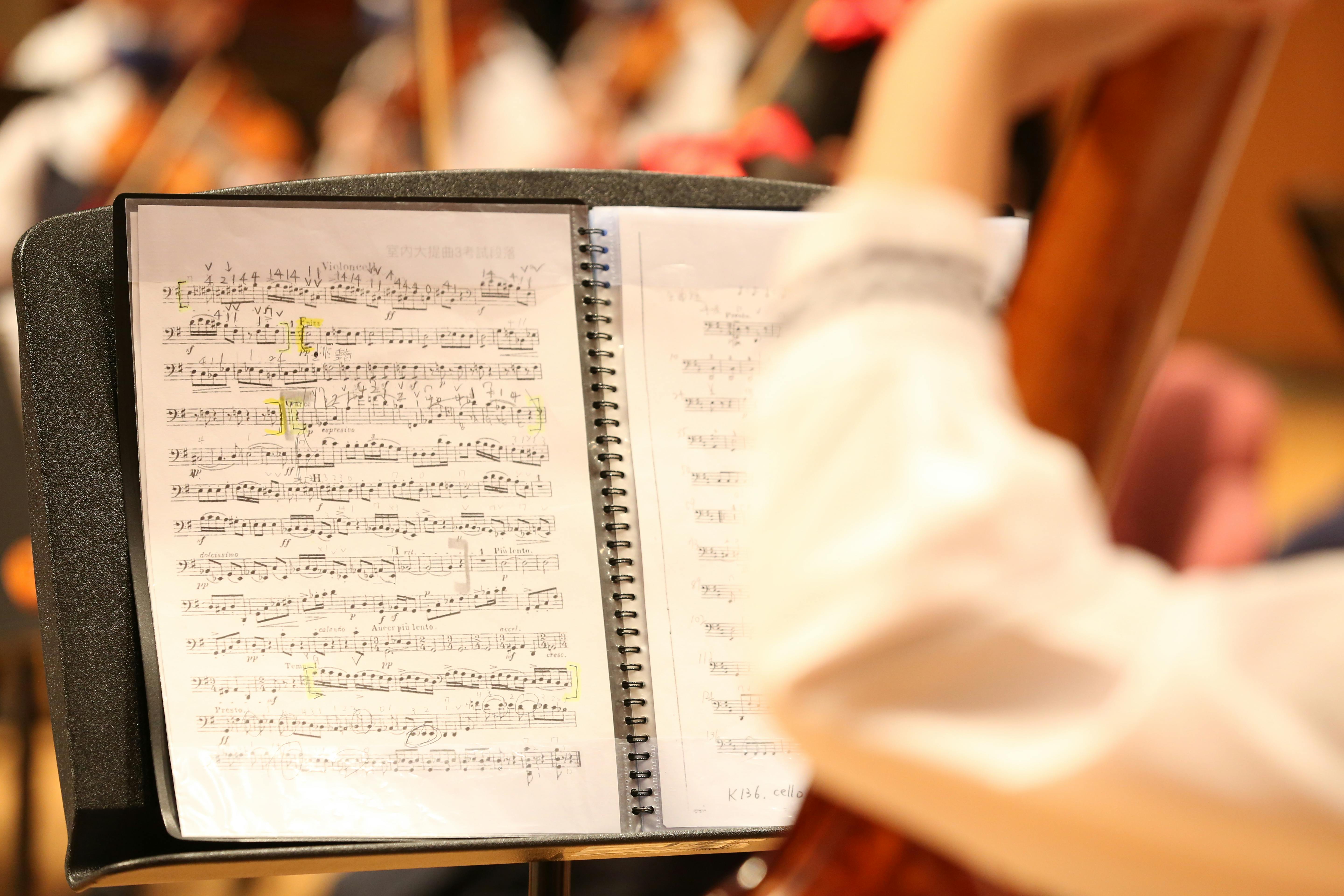 Sadnice Pit Note Photos, Download The BEST Free Sadnice Pit Note Stock ...