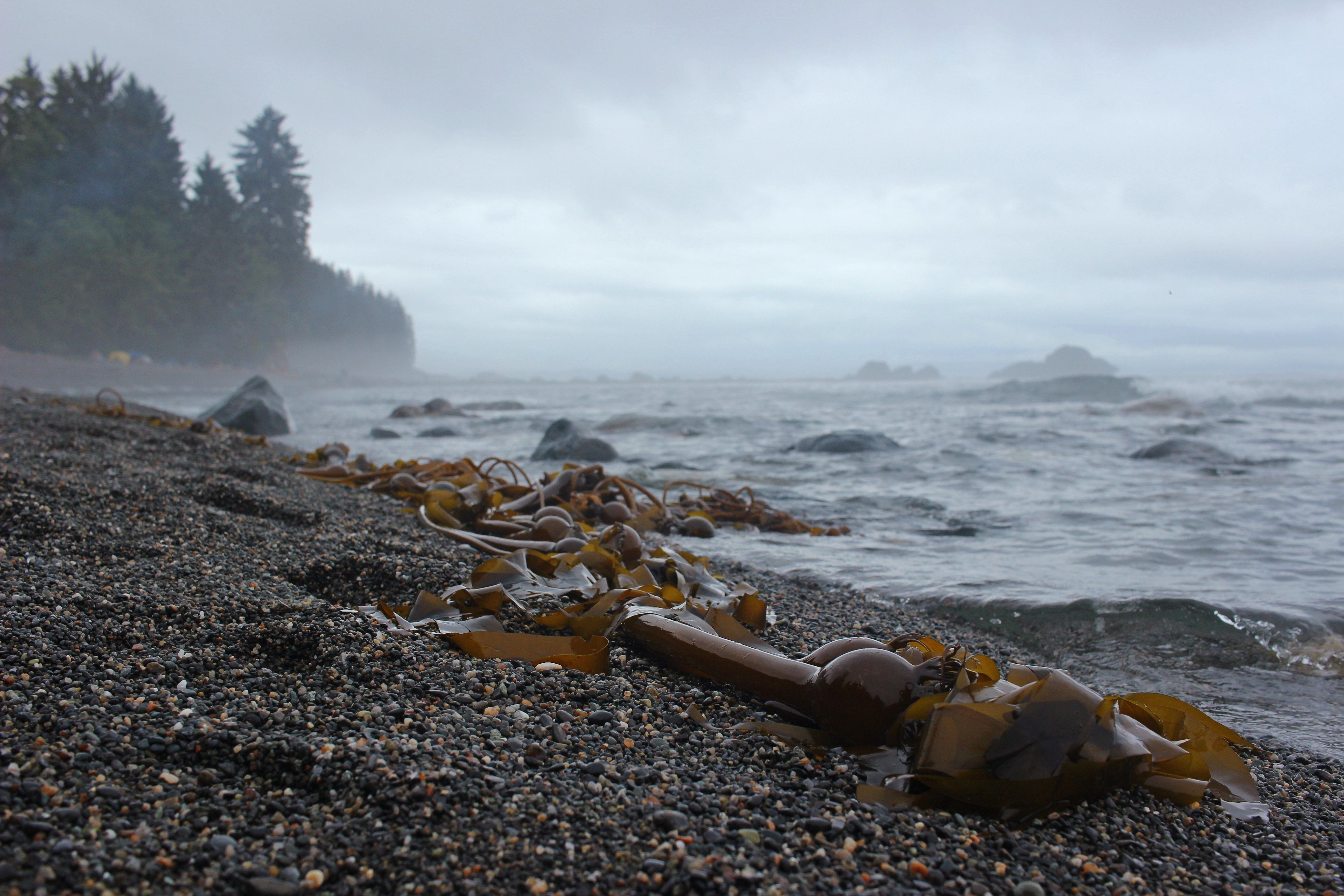 A Rock Formation on the Beach · Free Stock Photo