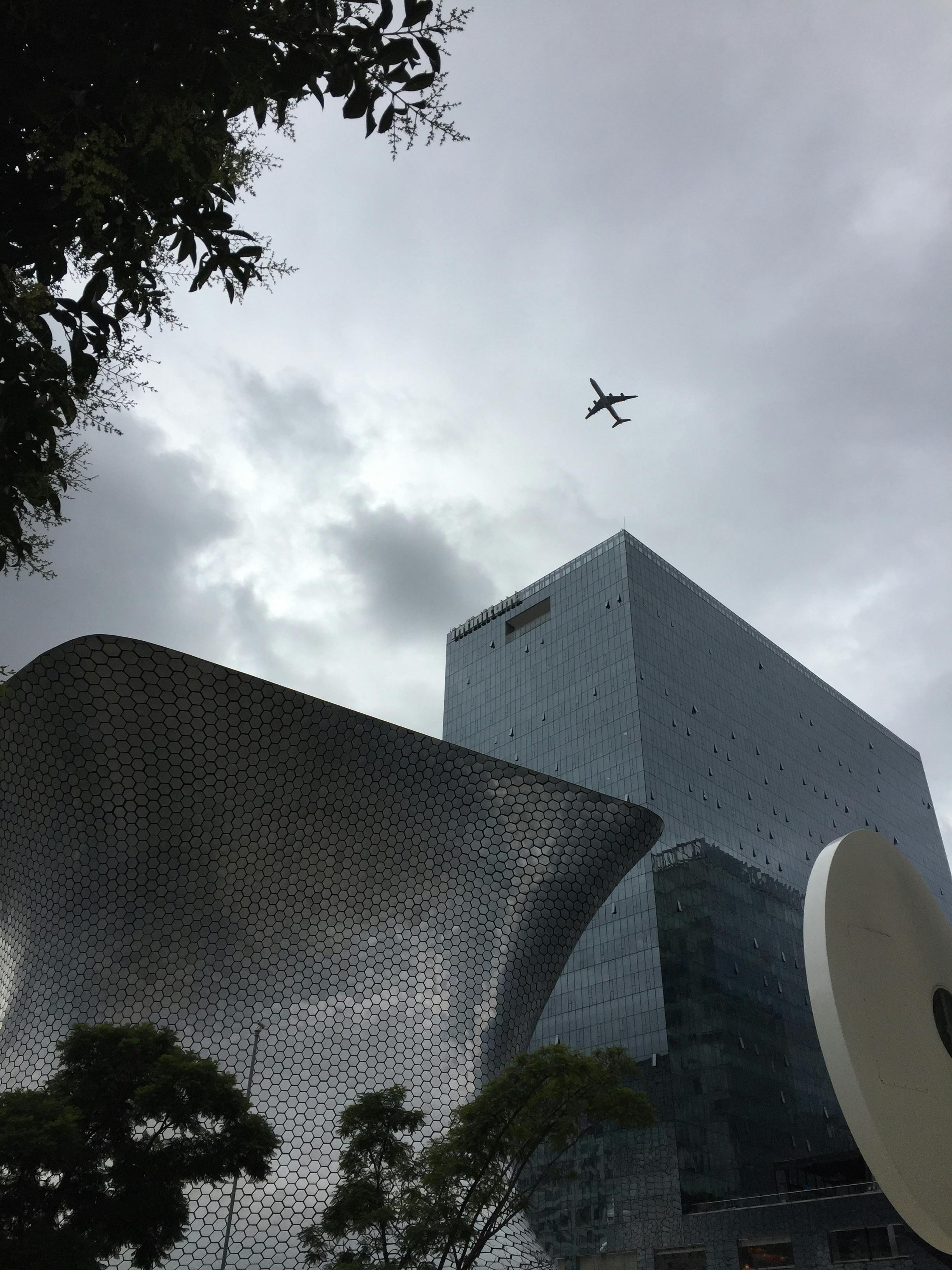Airplane Flying Buildings · Free Stock Photo