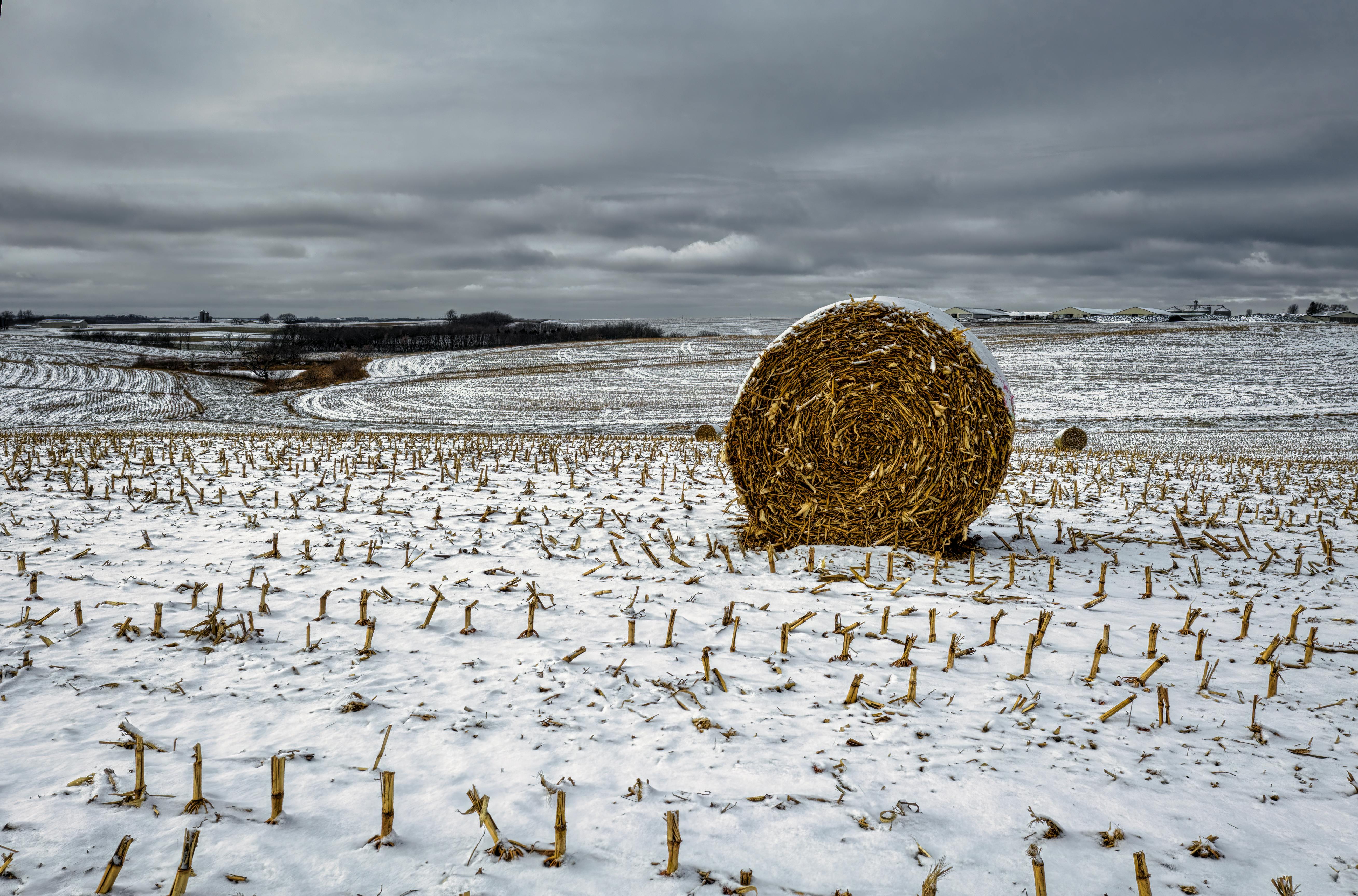 Hay Bale on a Snow-Covered Field · Free Stock Photo