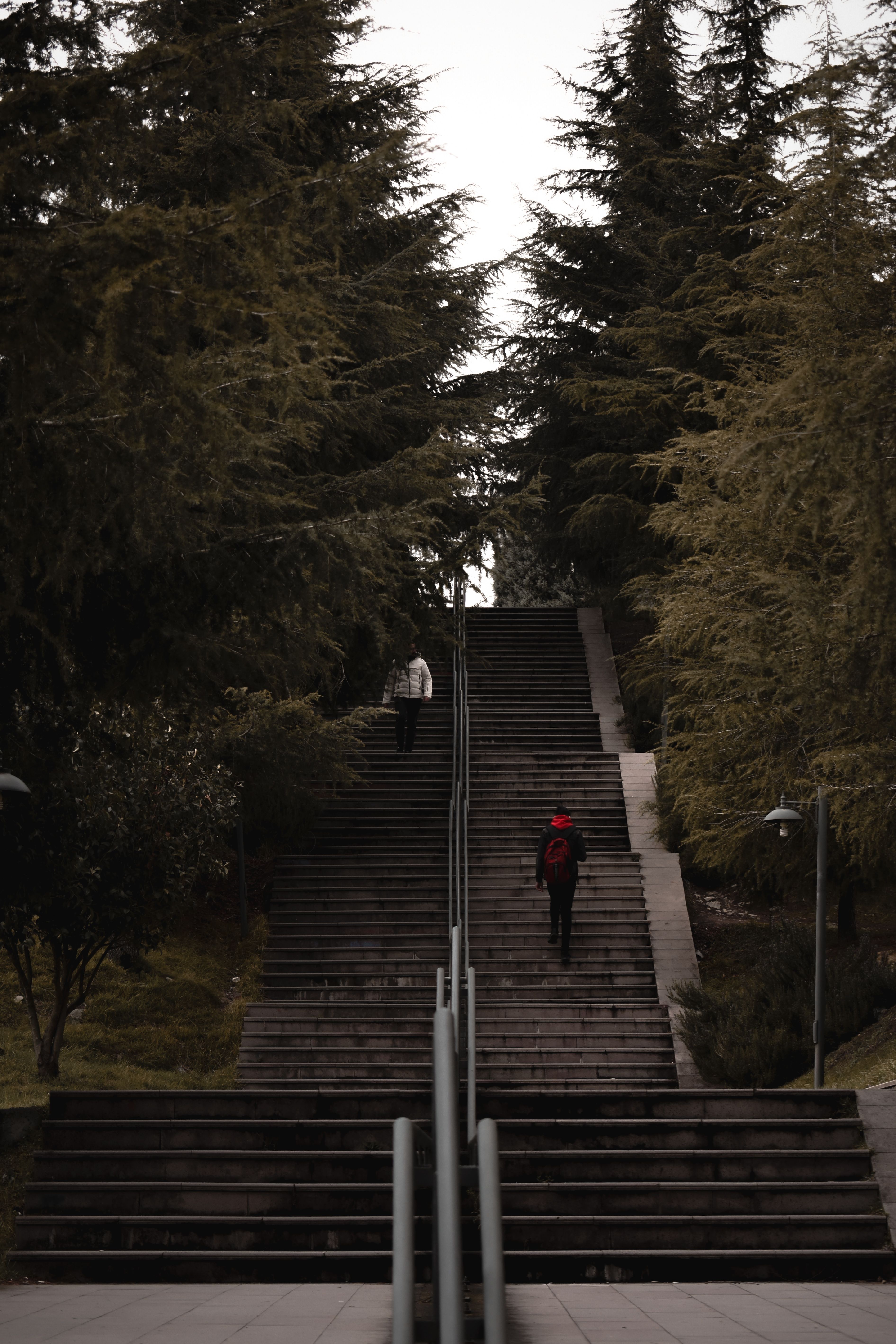 Low-Angle Shot of a Man Walking Down the Concrete Stairs · Free Stock Photo