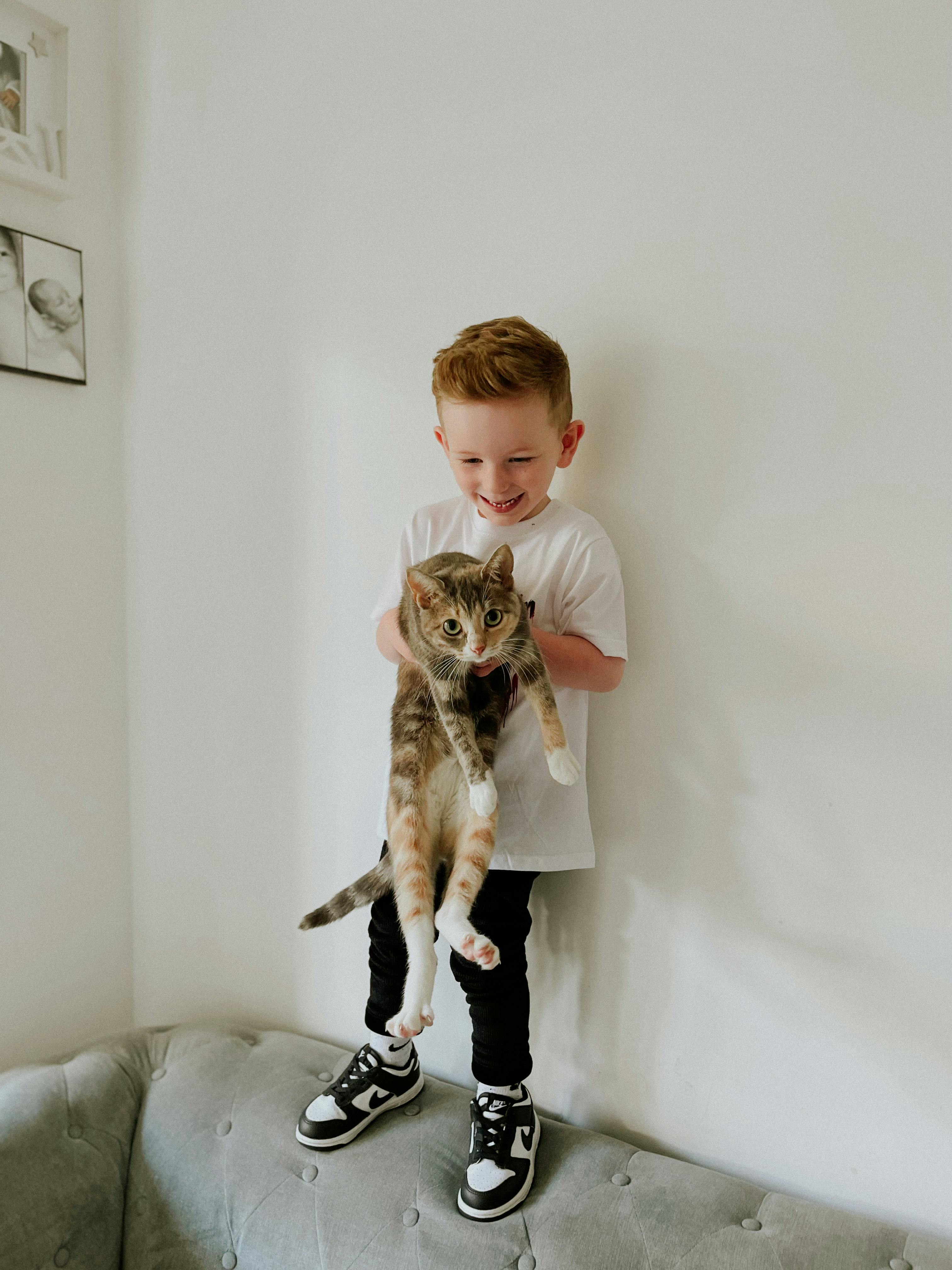 Boy Holding a Cat · Free Stock Photo