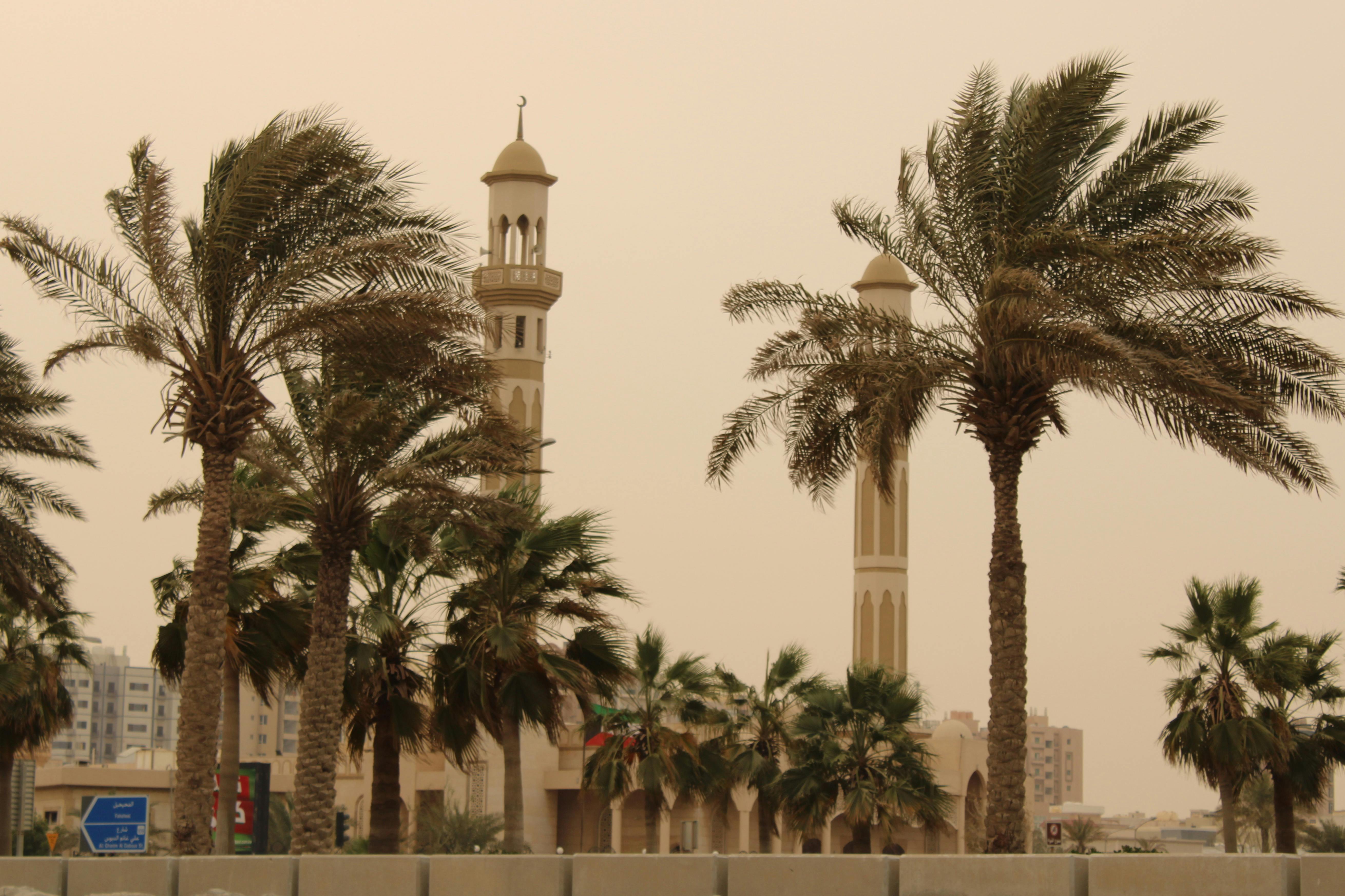 Aquib Alam - Fotografía