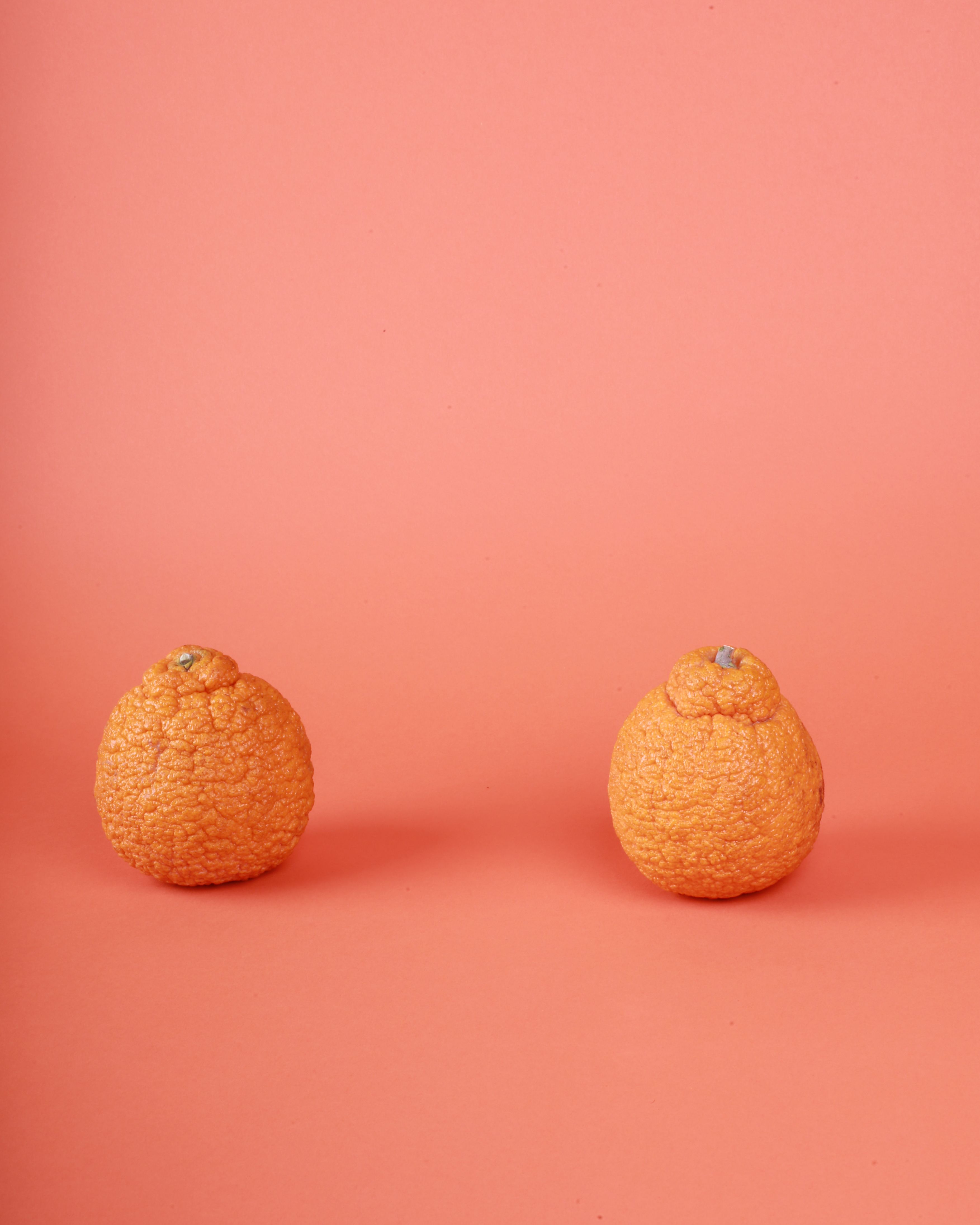Wrinkly Clementines on Pink Back · Free Stock Photo