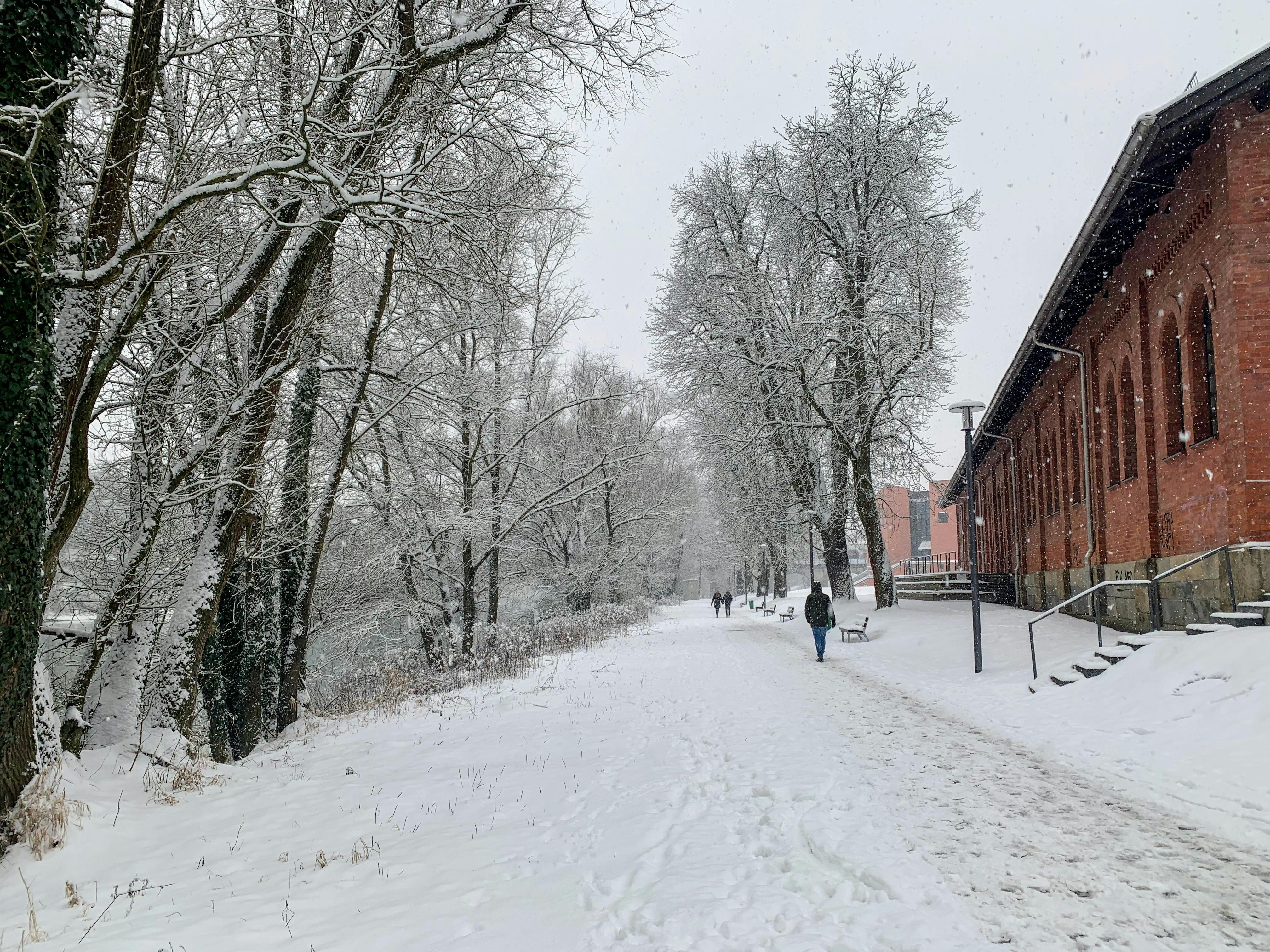 Woman Blowing Snow Outdoors · Free Stock Photo