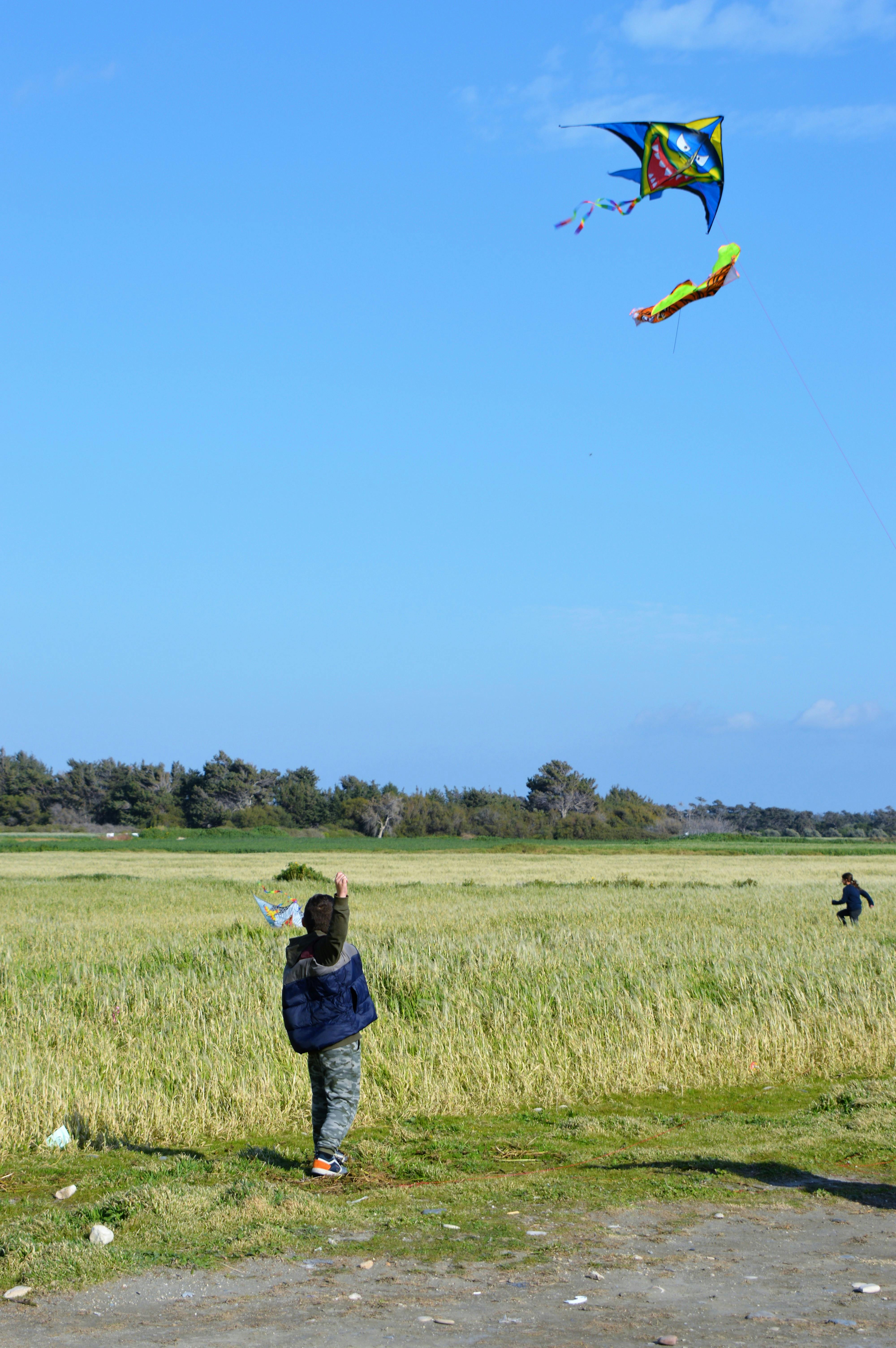 Kites Photos, Download The BEST Free Kites Stock Photos & HD Images
