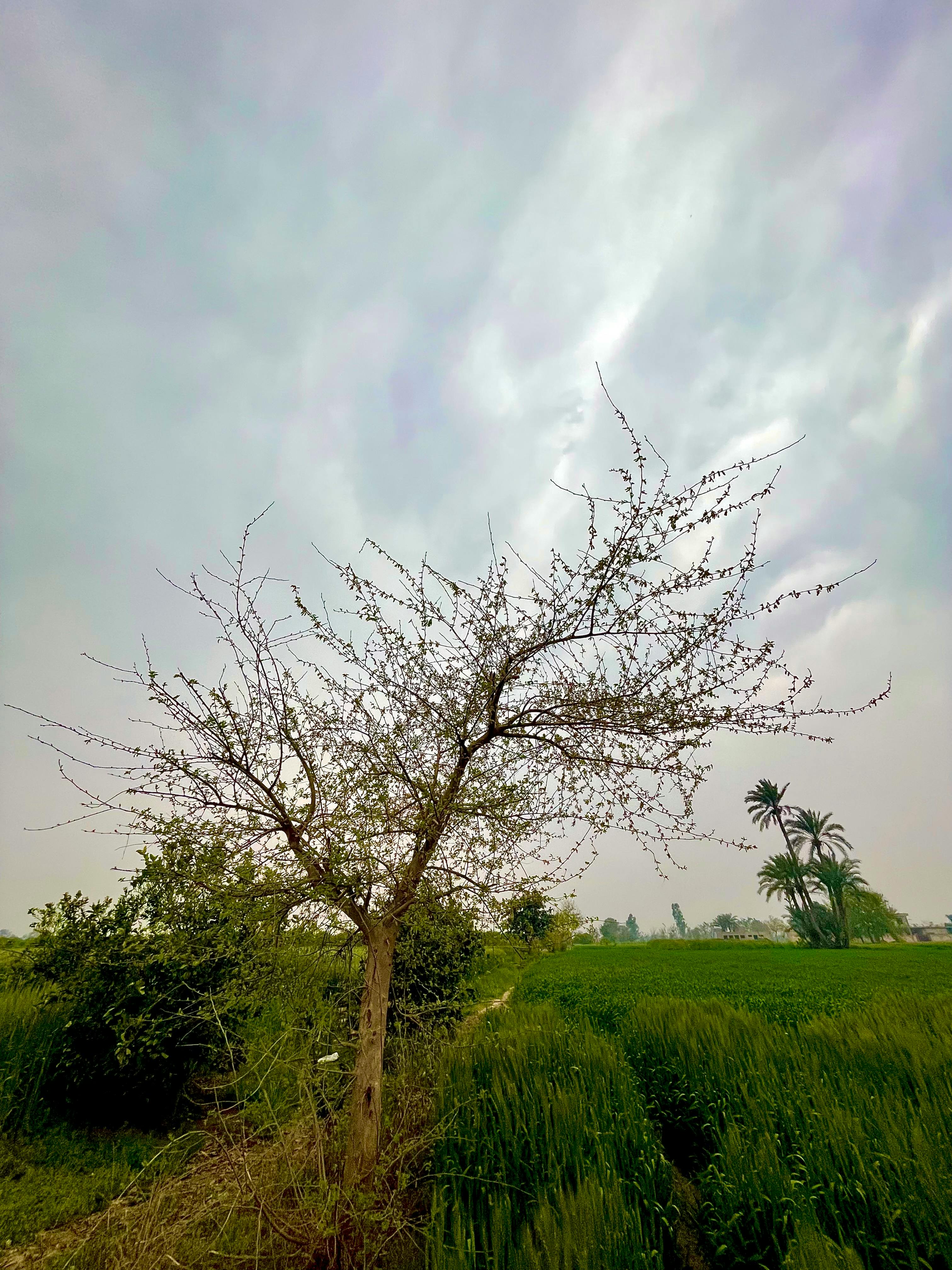 Nature 74 Photos & Videos Collected by Kashif Shah