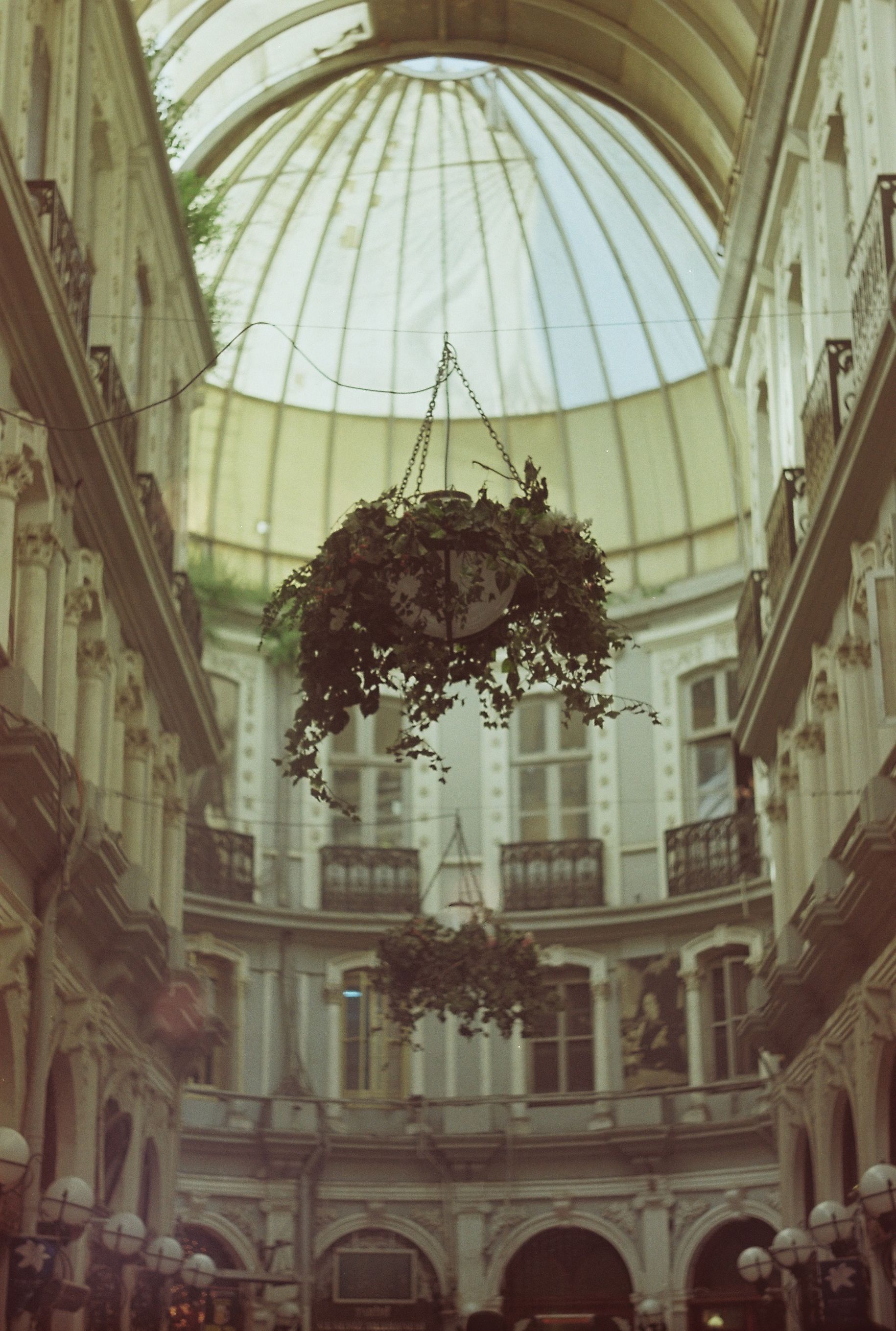 Ceiling Architetcure Photos, Download Free Ceiling Architetcure Stock ...