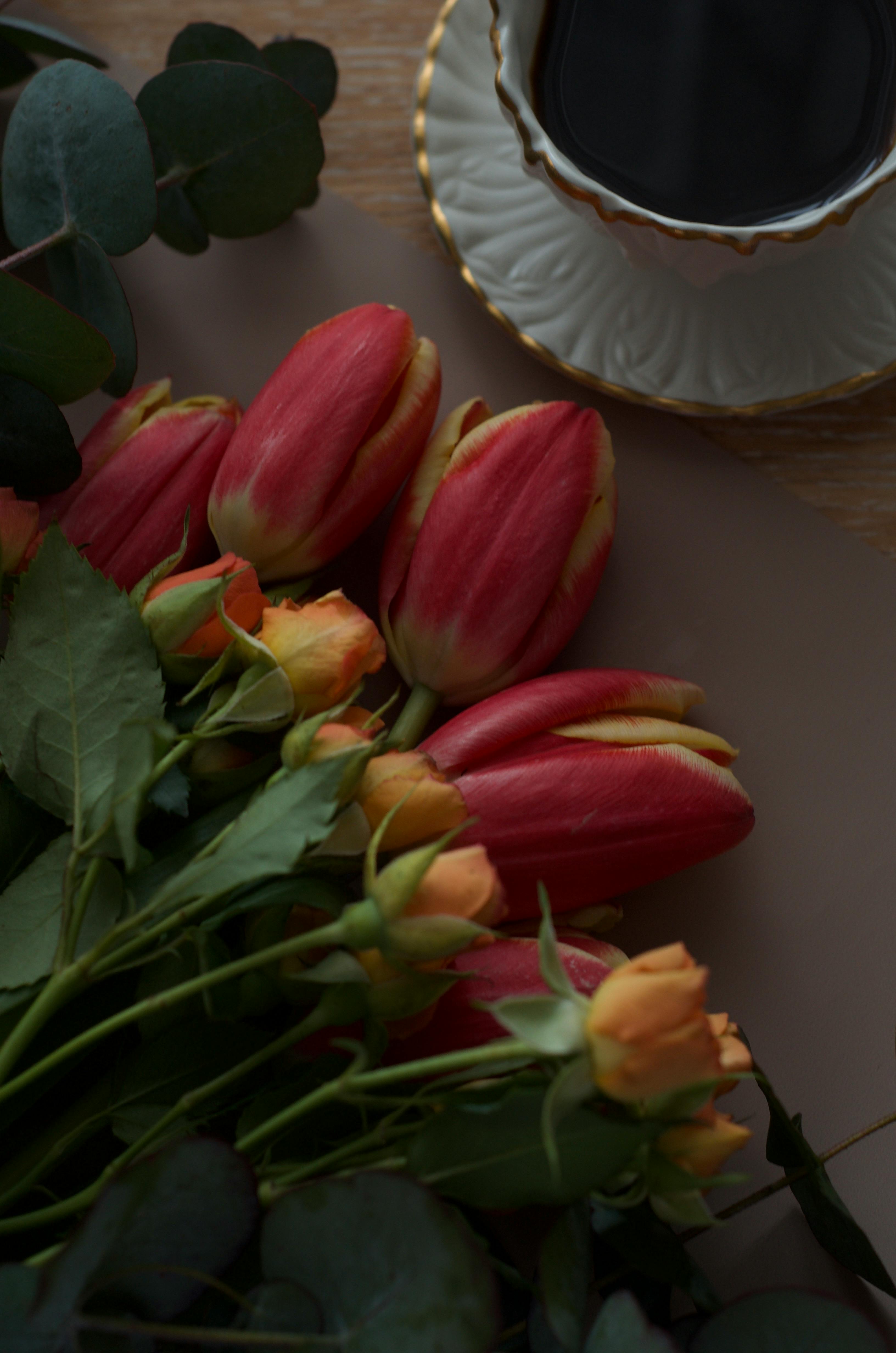 Afghan Flowers Photos, Download Free Afghan Flowers Stock Photos & HD ...