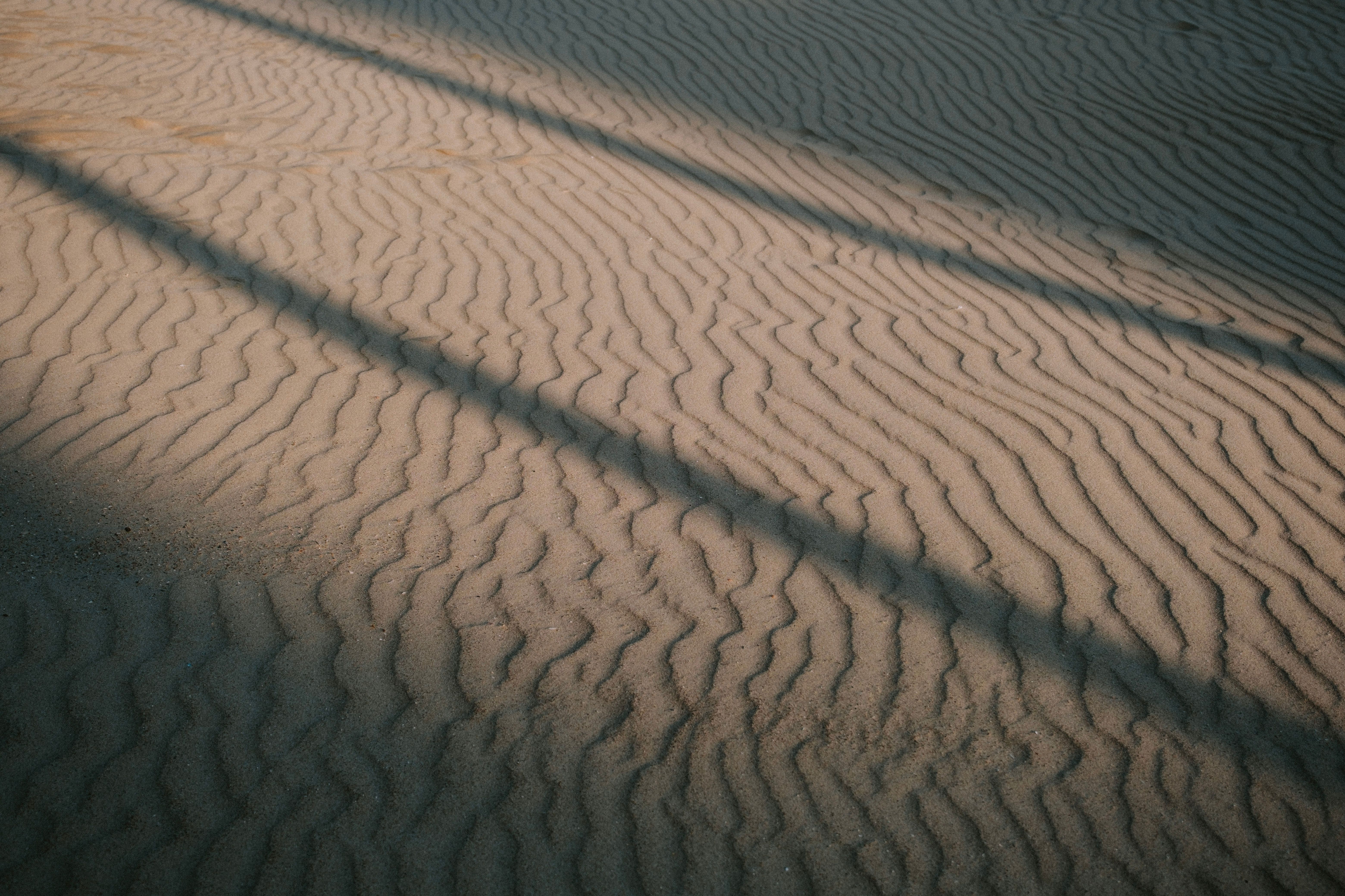 Shadows and Sunlight on Sand · Free Stock Photo