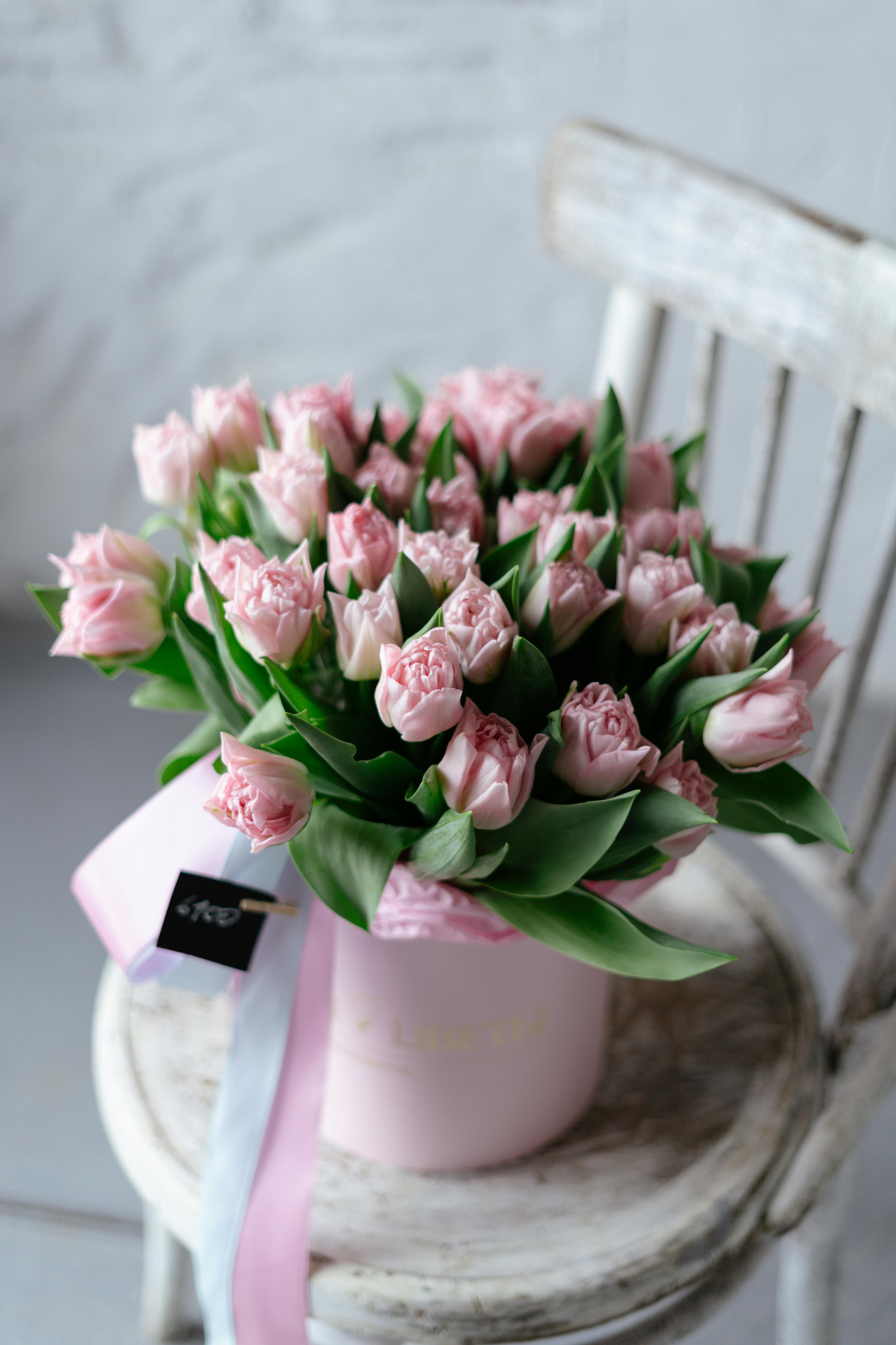 A Pink Flowers in Pink Vase · Free Stock Photo