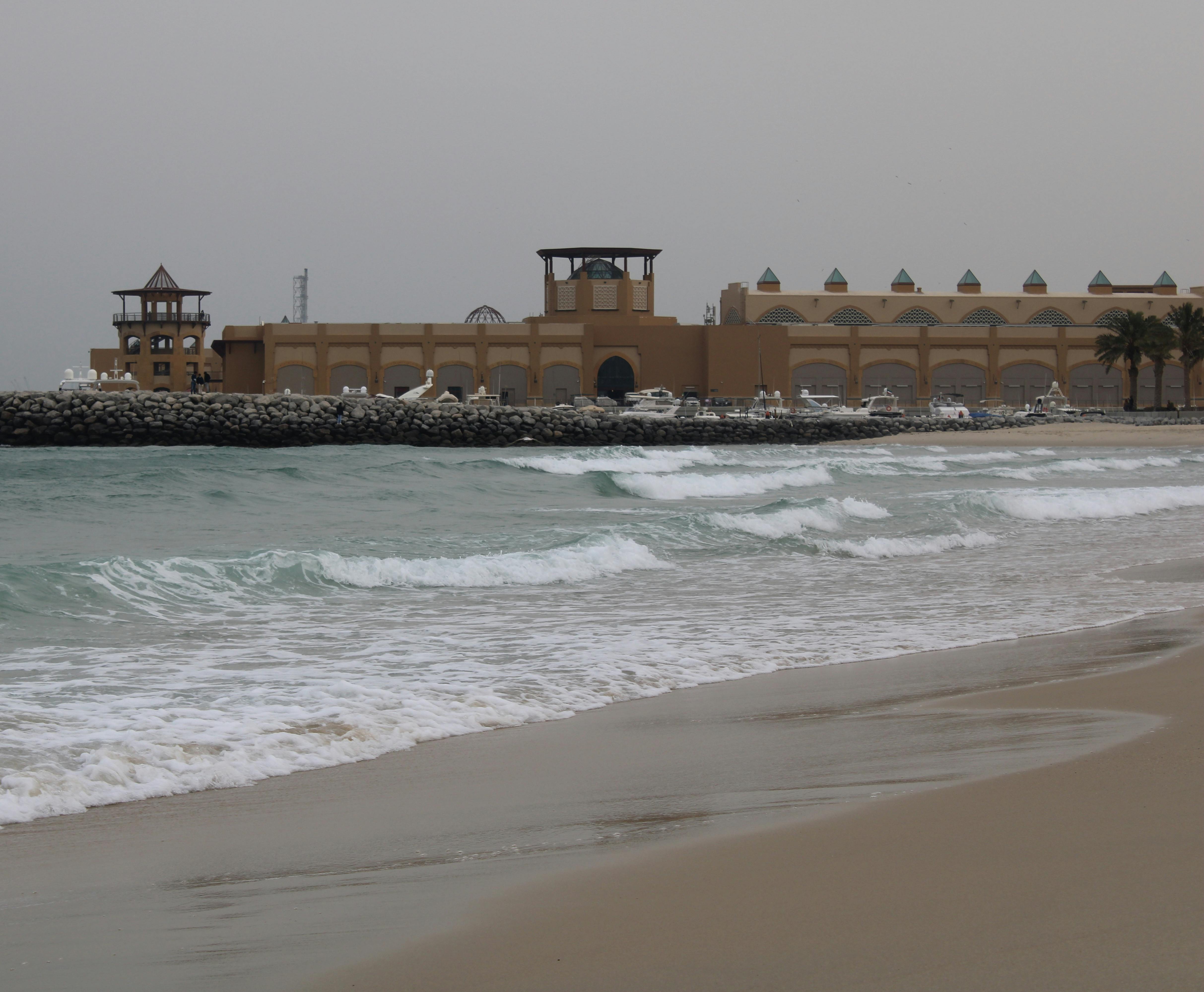 Aquib Alam - Fotografía