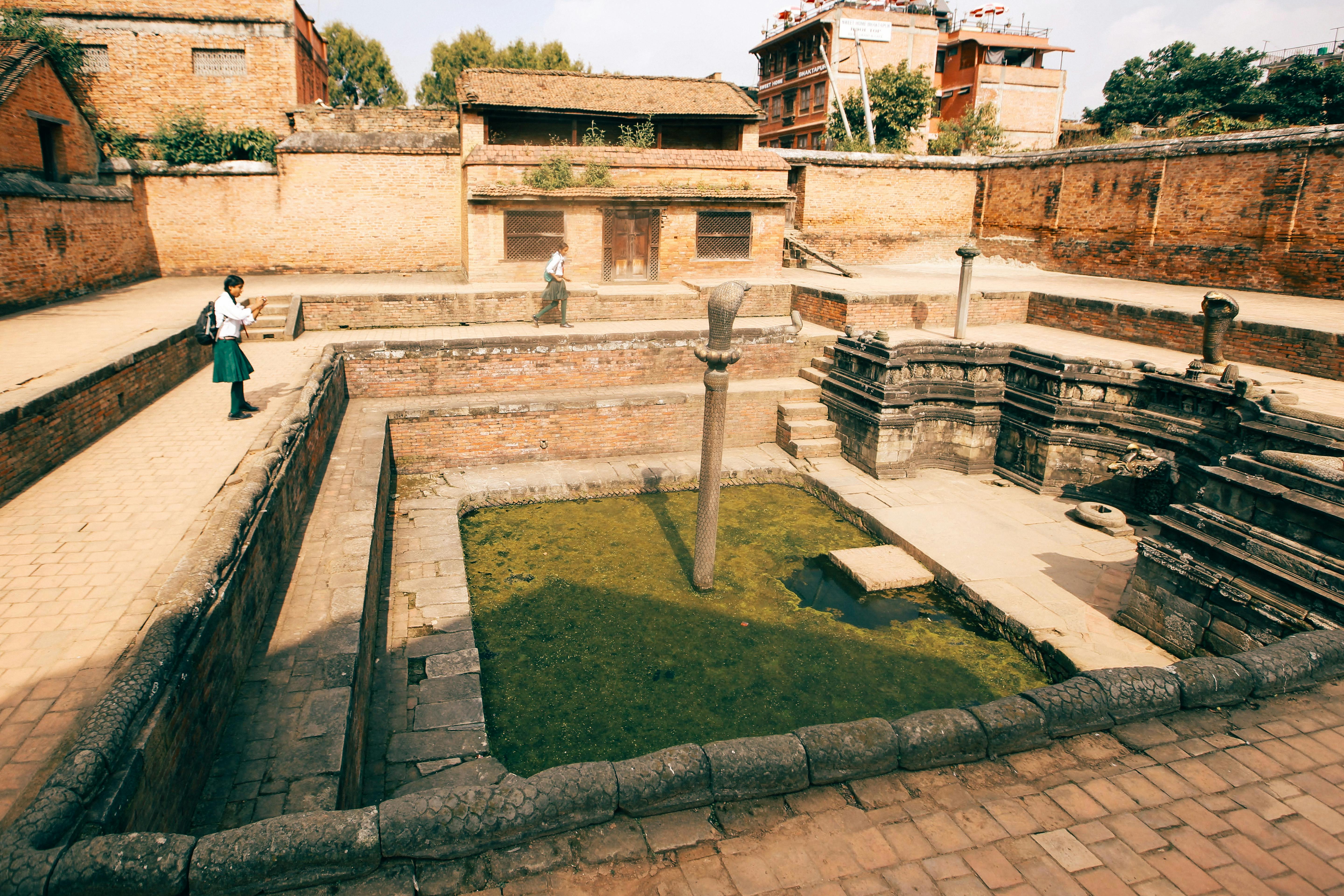 Nag Photos, Download The BEST Free Nag Stock Photos & HD Images