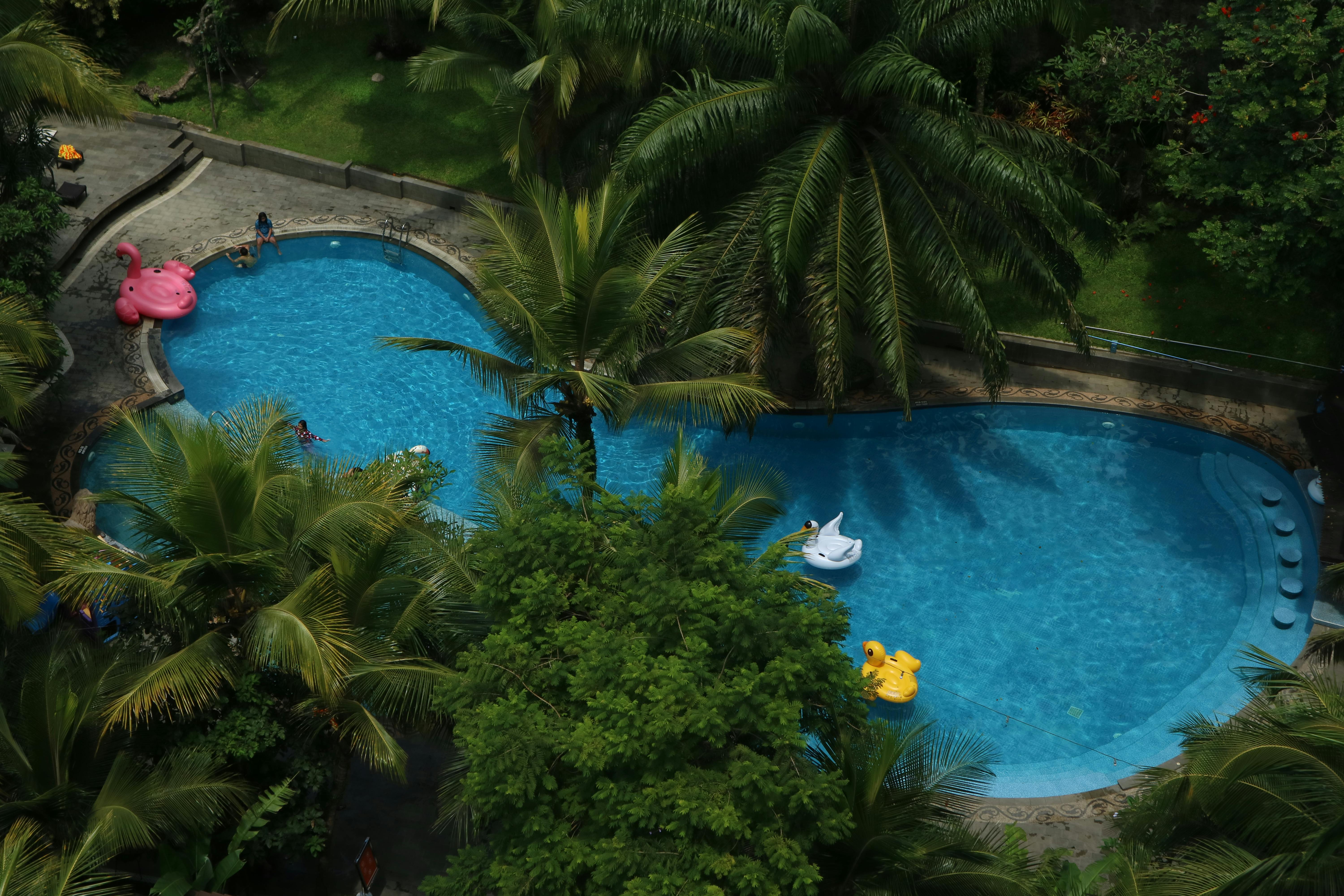 Aerial View of a Swimming Pool in the Middle of the Trees · Free Stock ...