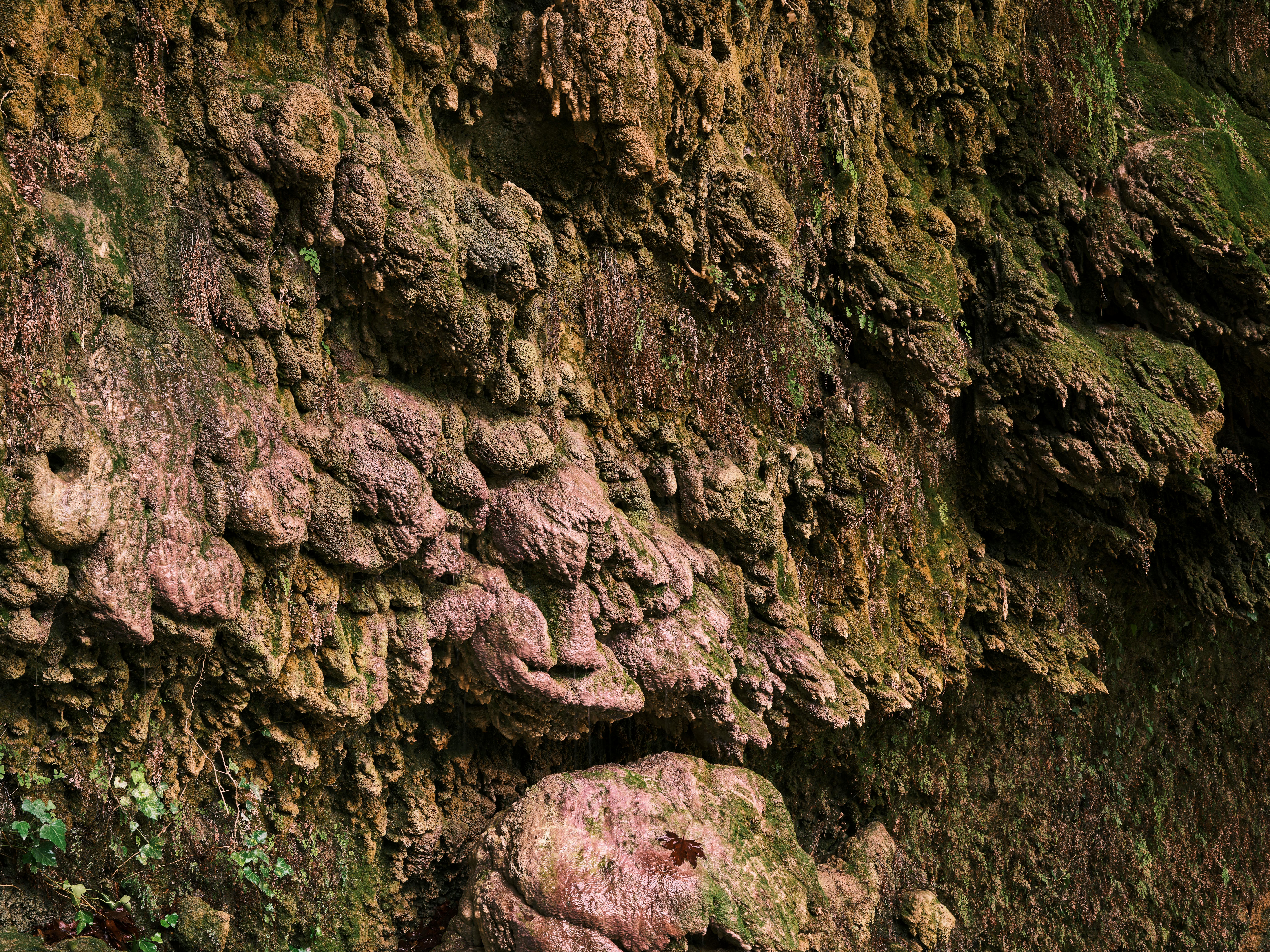 Moss on Rock Formations · Free Stock Photo