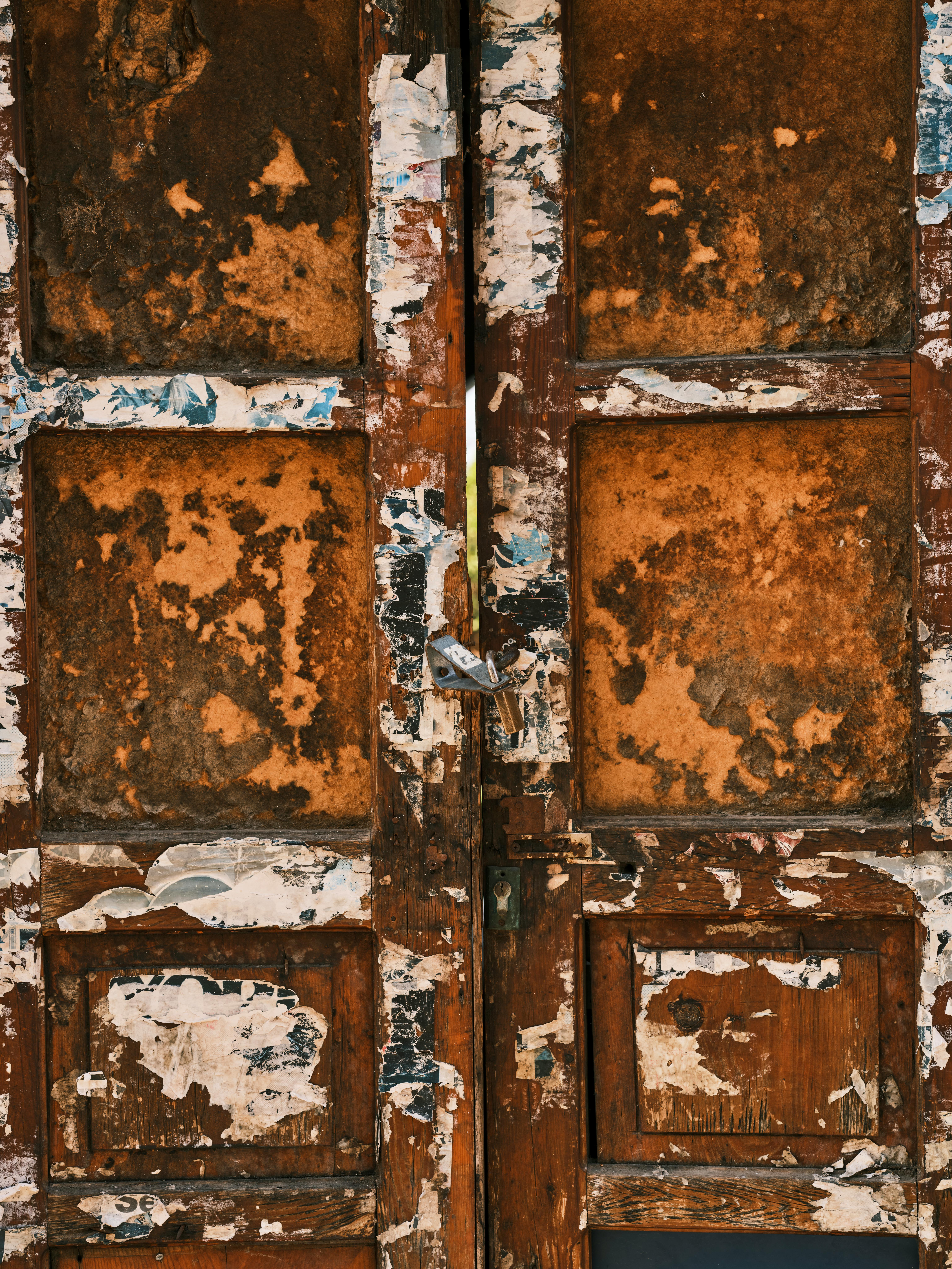 Photo of an Old Door · Free Stock Photo