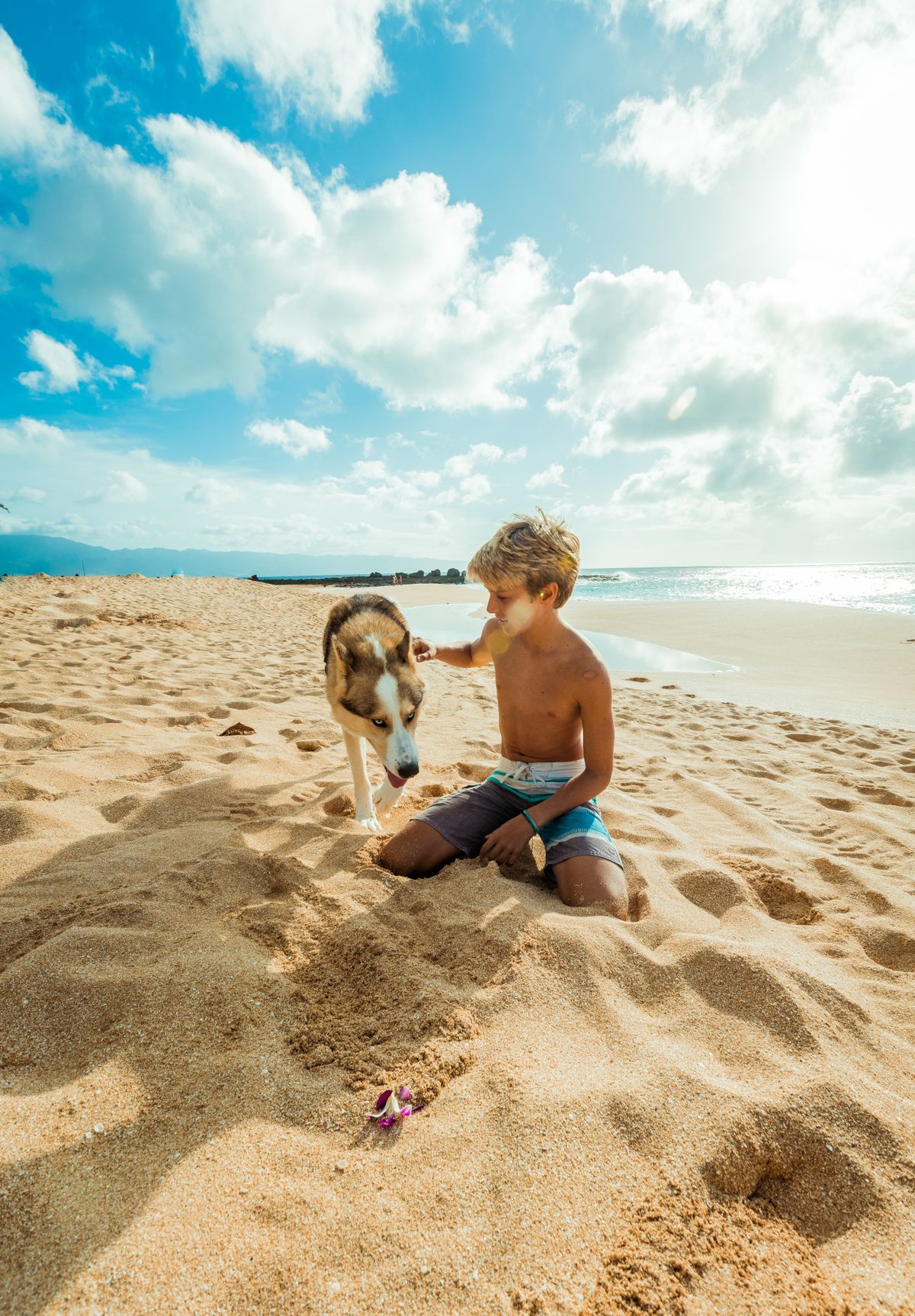 Young Boy At Beach Photos, Download The BEST Free Young Boy At Beach ...