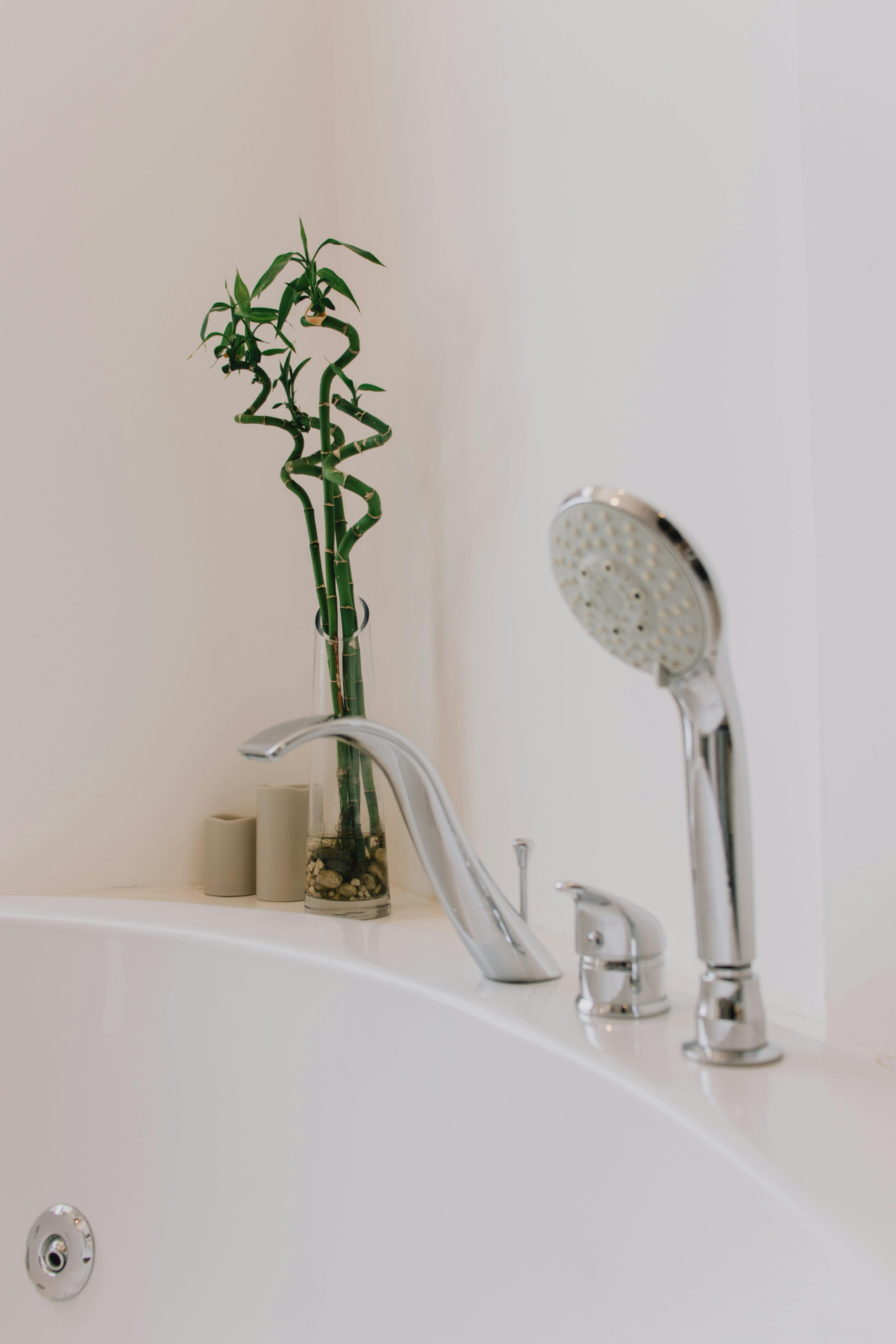 Bamboo Standing on Bathtub Edge · Free Stock Photo