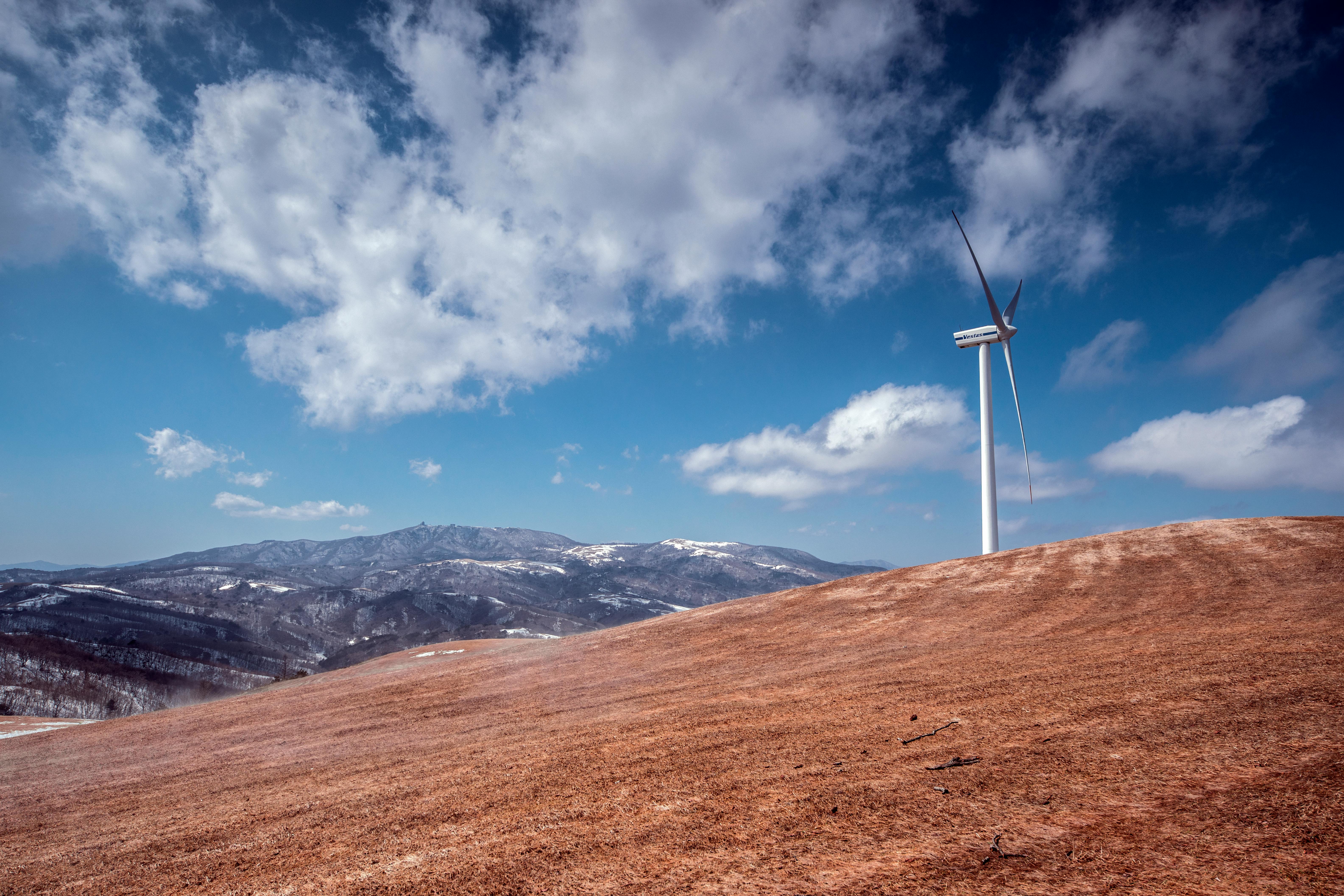 White Windmills · Free Stock Photo