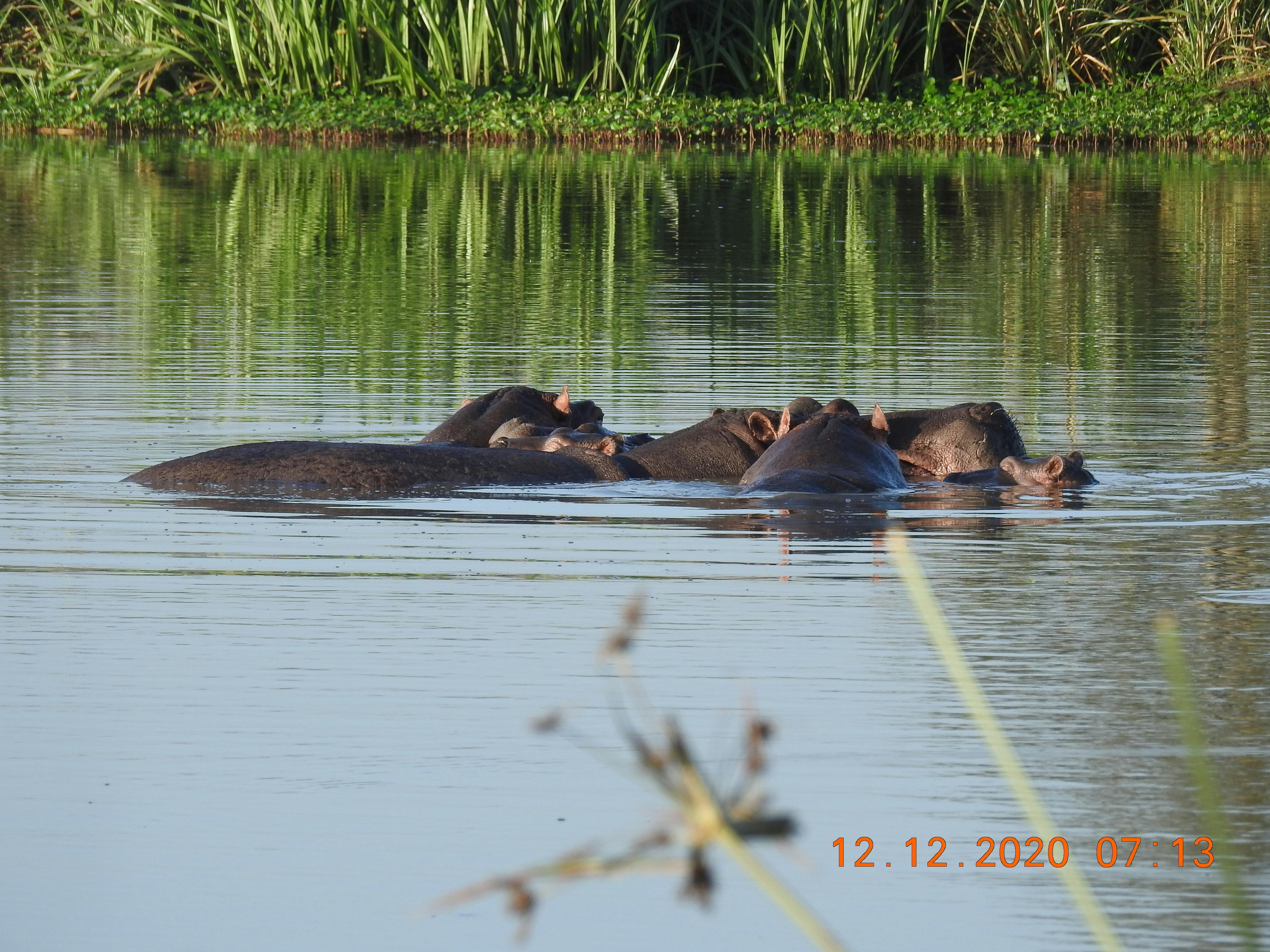 Digital Art Style Logo Design Ideas – Logomakershop Blog