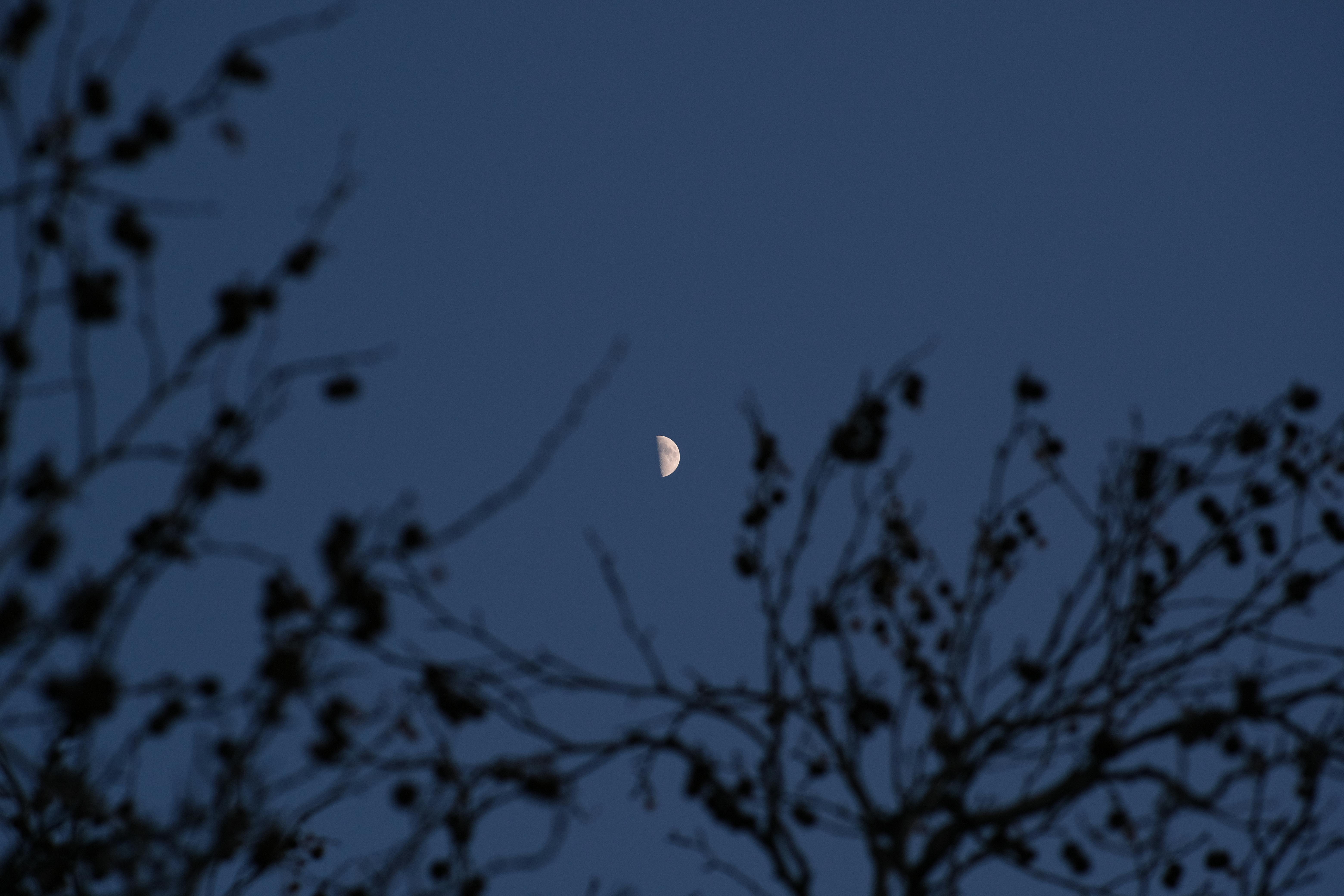 Half Moon on Night Sky · Free Stock Photo