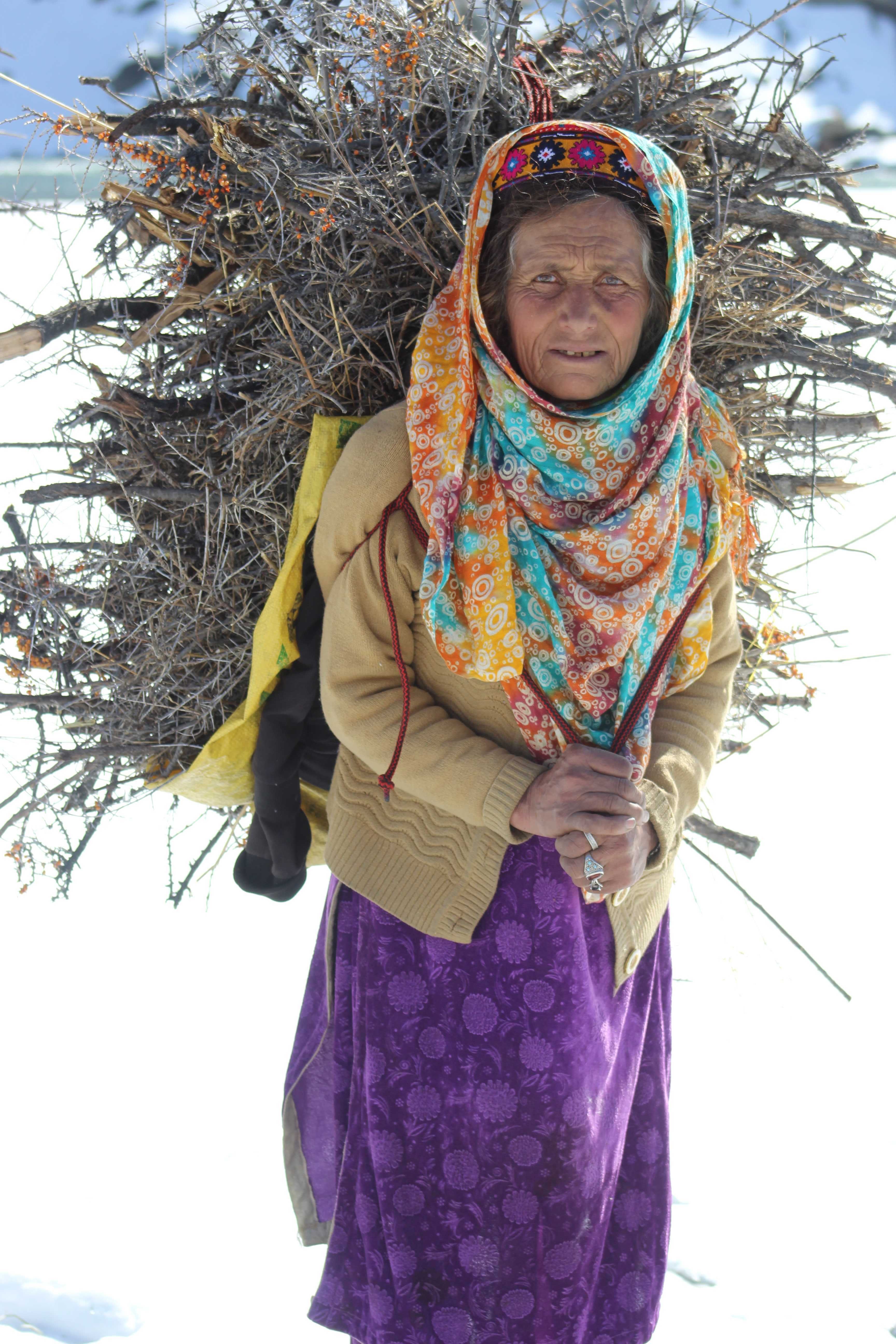 Woman Carrying Branches · Free Stock Photo