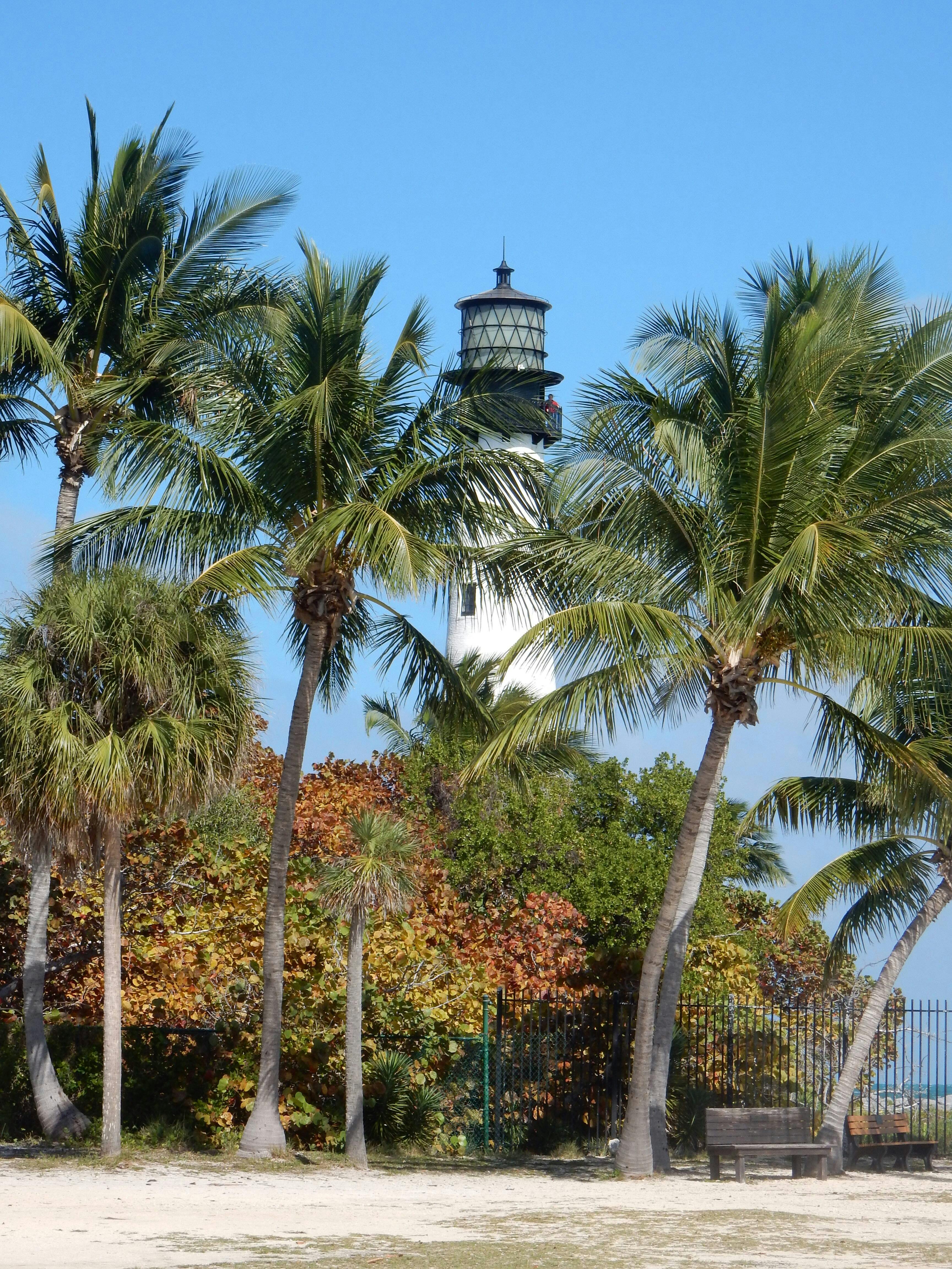 A View of the Cape Florida Lighthouse · Free Stock Photo
