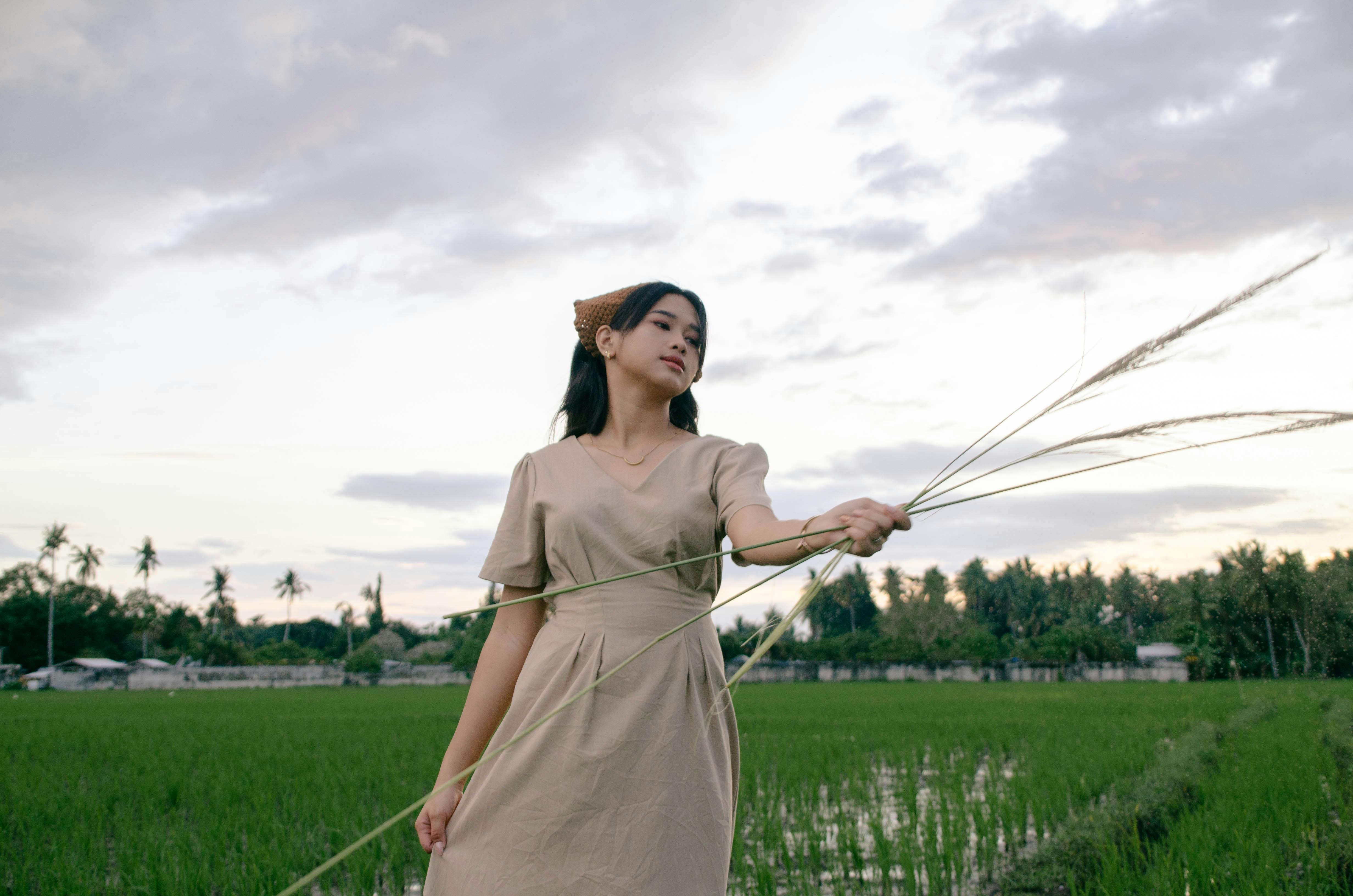 100,000+ Best Asian Fields Photos · 100% Free Download · Pexels Stock ...