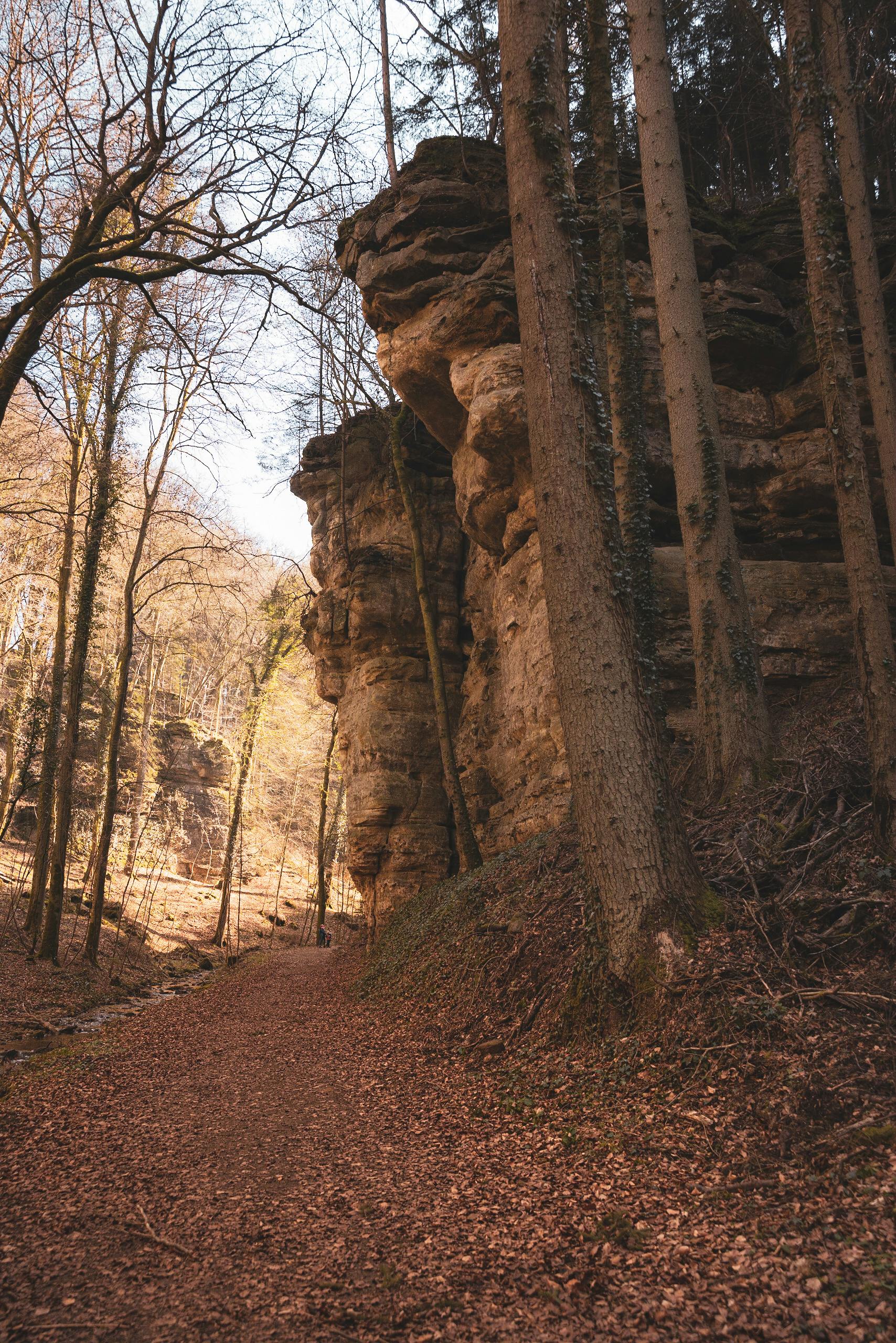 Trees and Rock Formation Landscape · Free Stock Photo