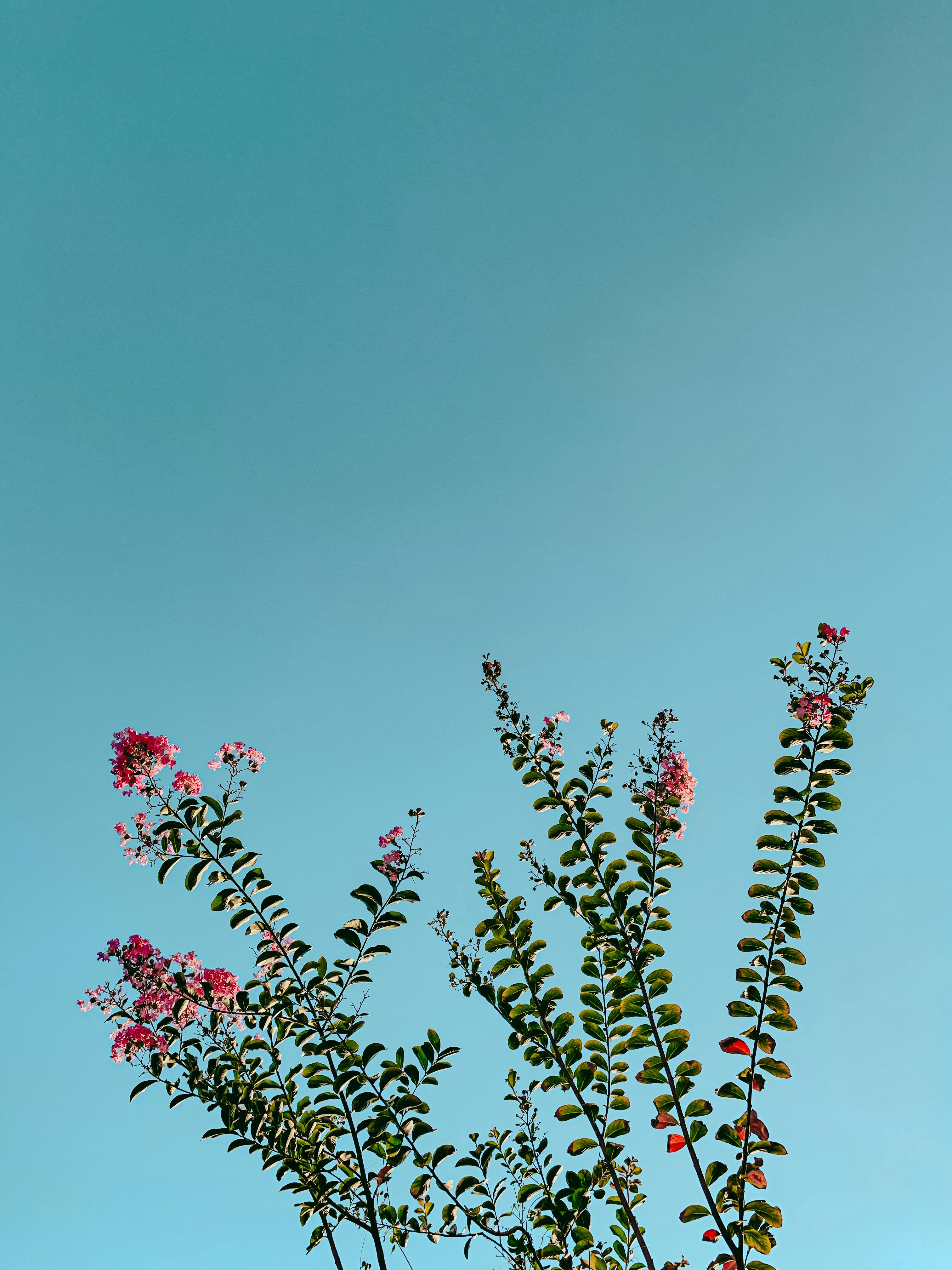 Jpeg Stock Photos Photos, Download The BEST Free Jpeg Stock Photos ...